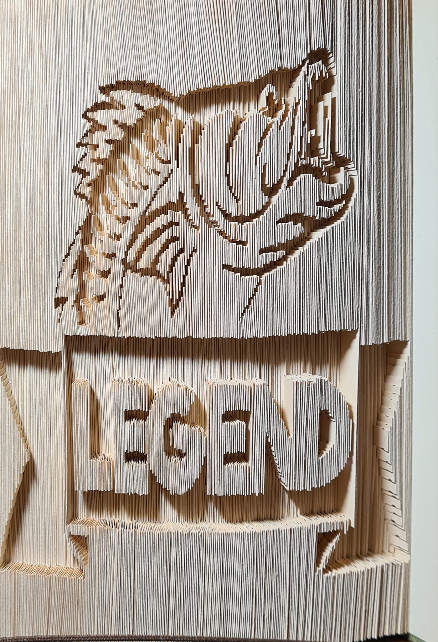 Legend Fish - 23cm 473page Cut and Fold - Payhip