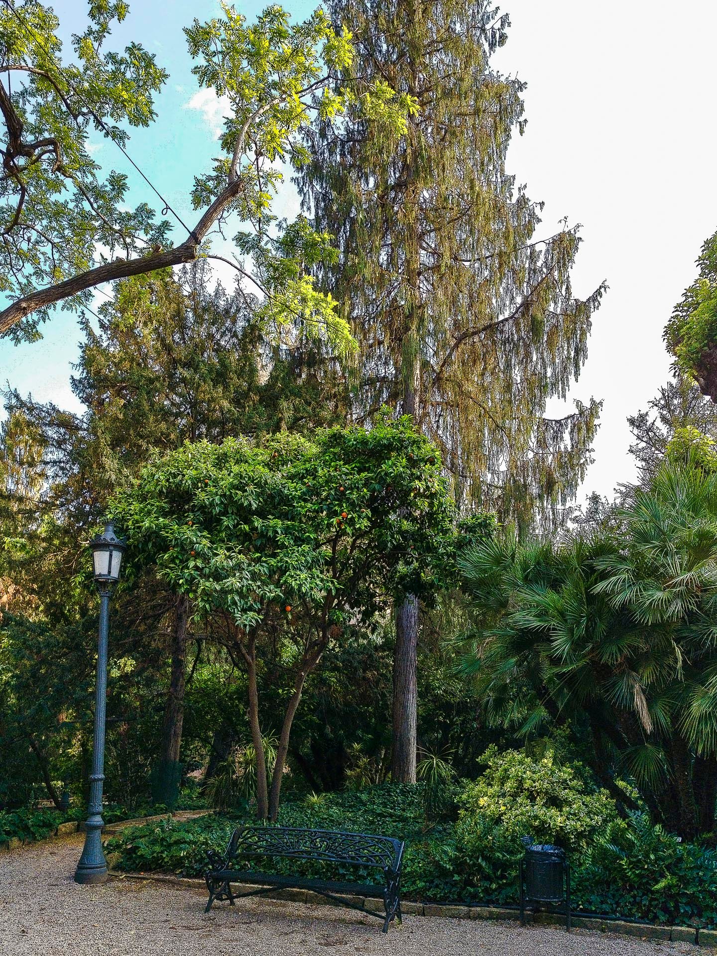 SWEET RIVER 20170818-1495RT1 - Payhip