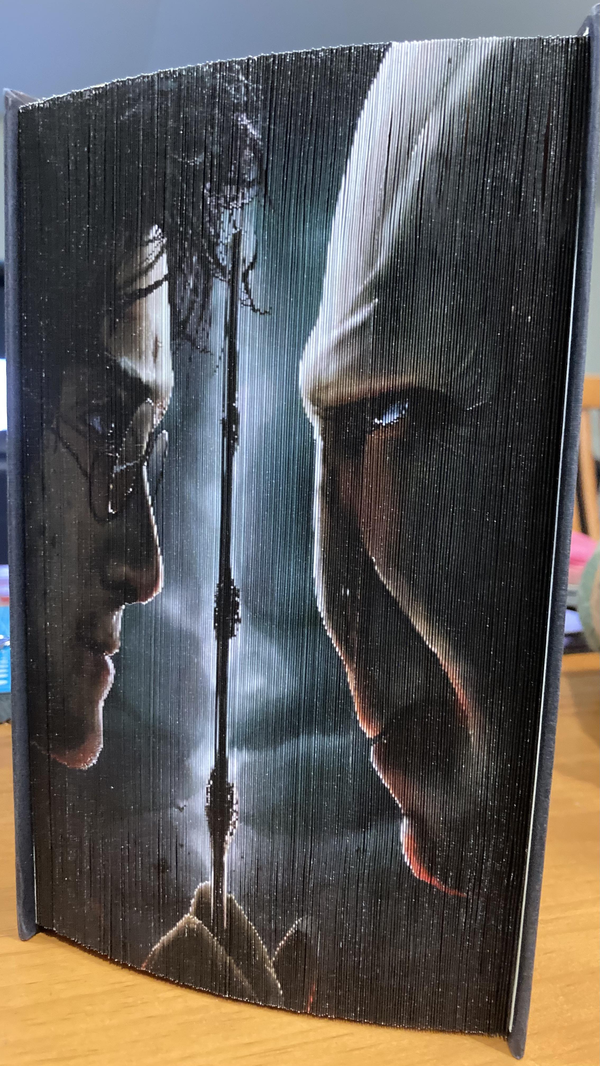Harry vs Voldemort - 24.6cm 484page Strip - Payhip