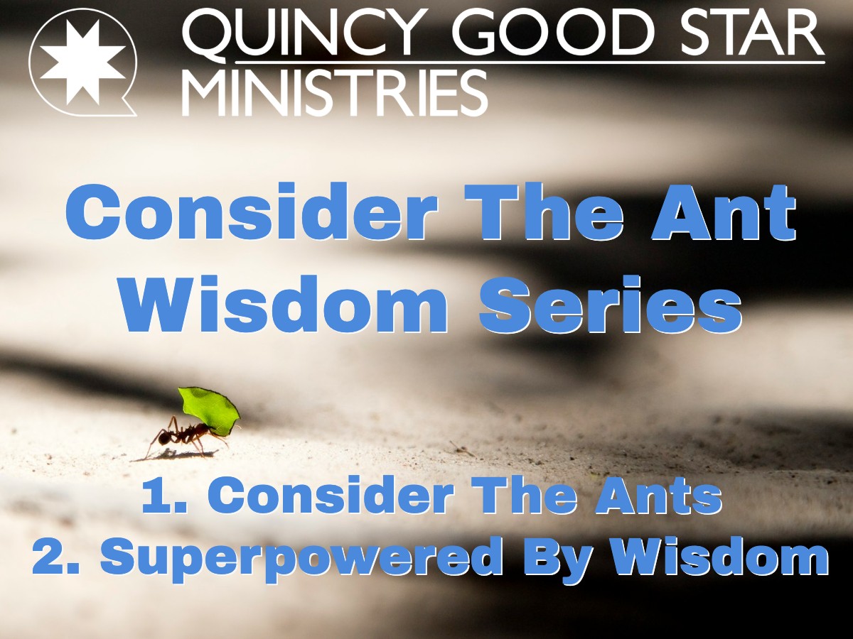Consider The Ant Wisdom Series - Payhip