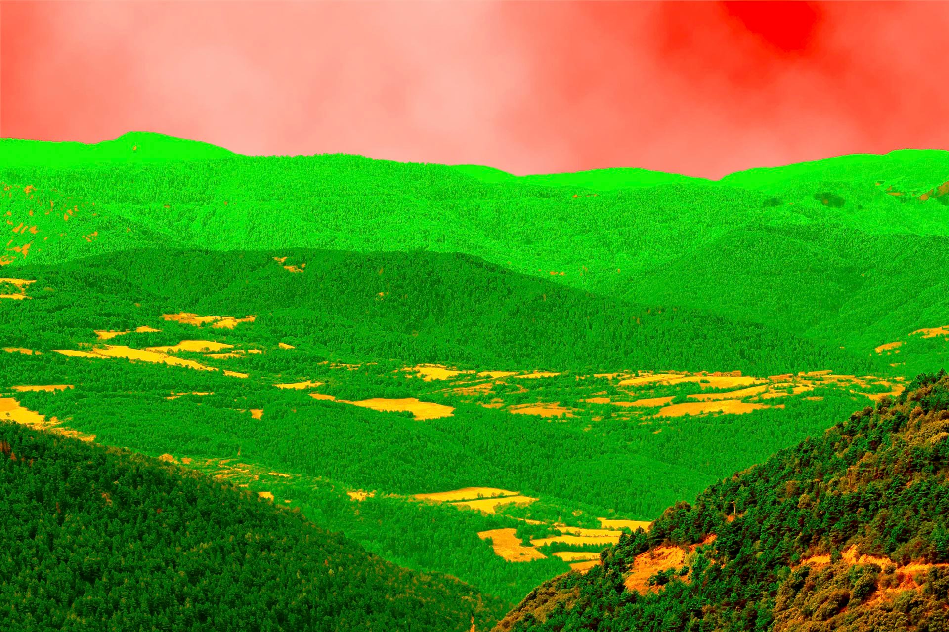 IMAGINE LANDSCAPE 20230816217RT1 - Payhip