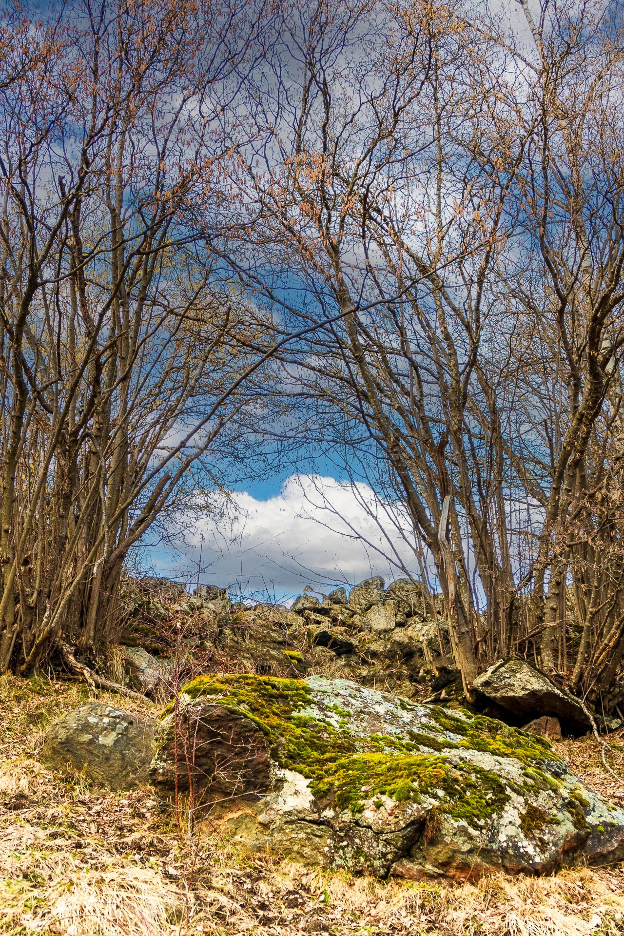 THE JOURNEY OF THE WHITE CLOUD 20250215180921RT1PUB - Payhip