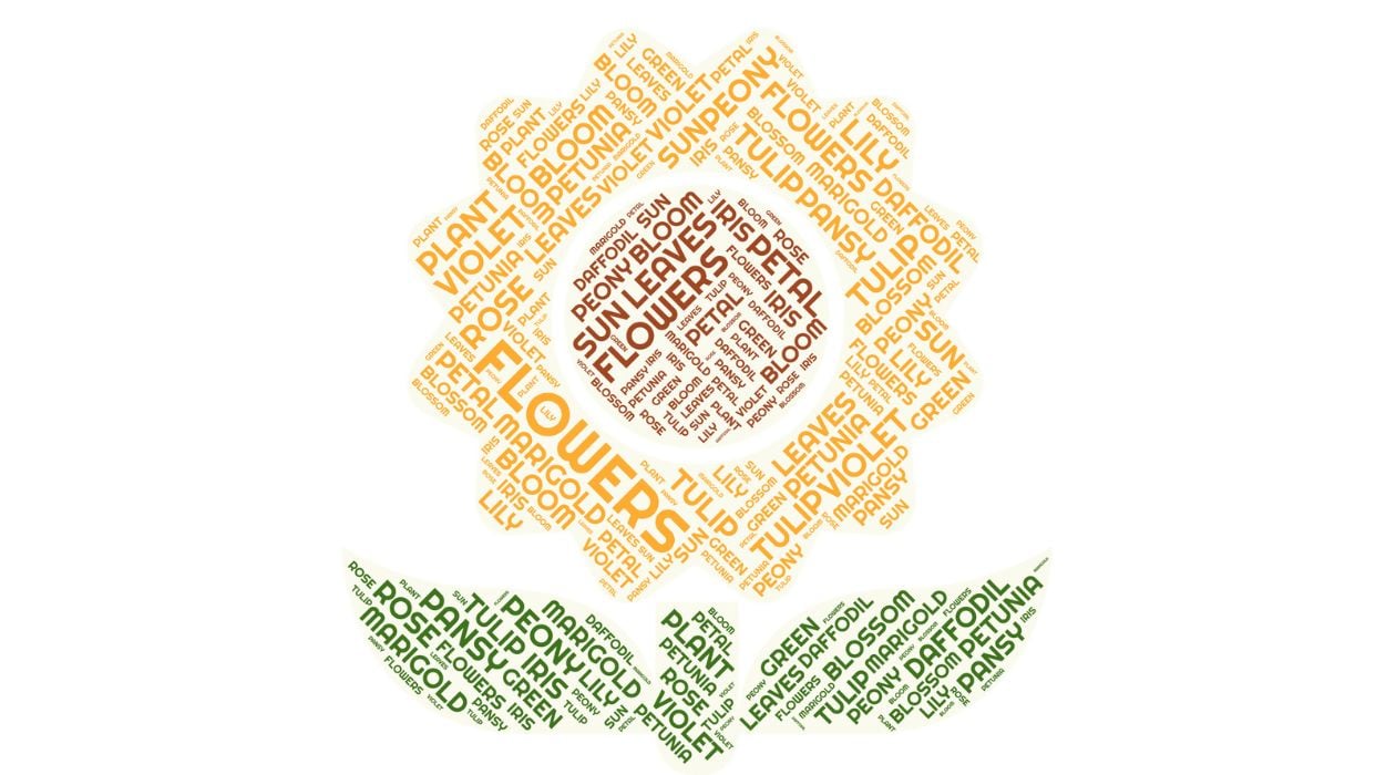 How Digital Artists Are Using Word Clouds for Digital Creativity