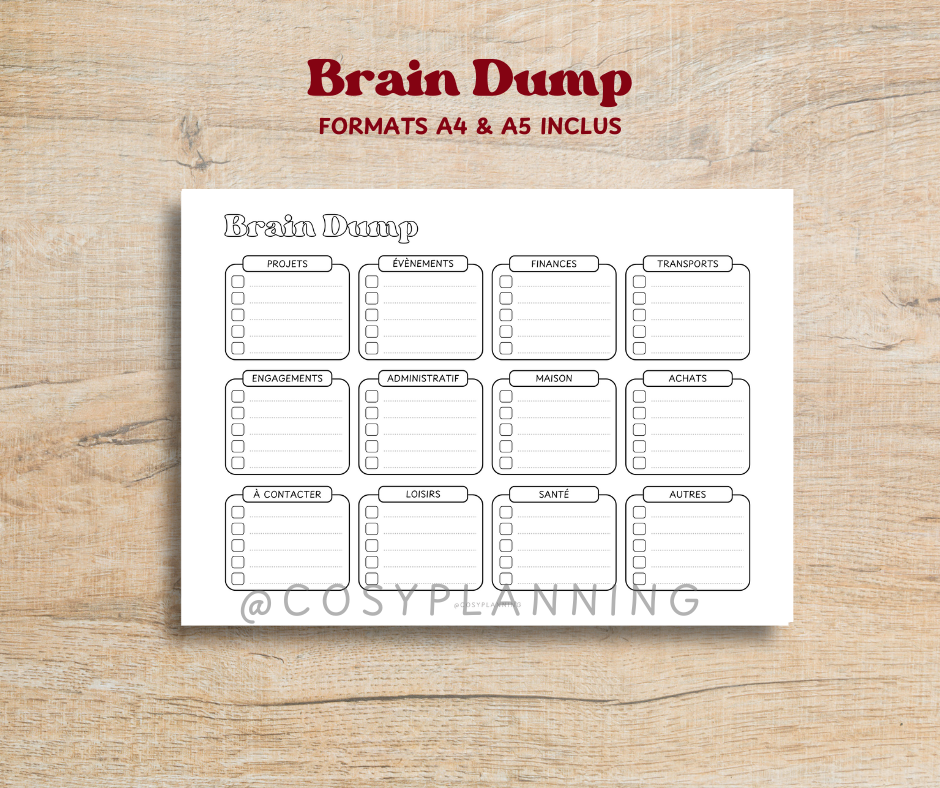 Brain Dump (Vide-Cerveau) - Payhip