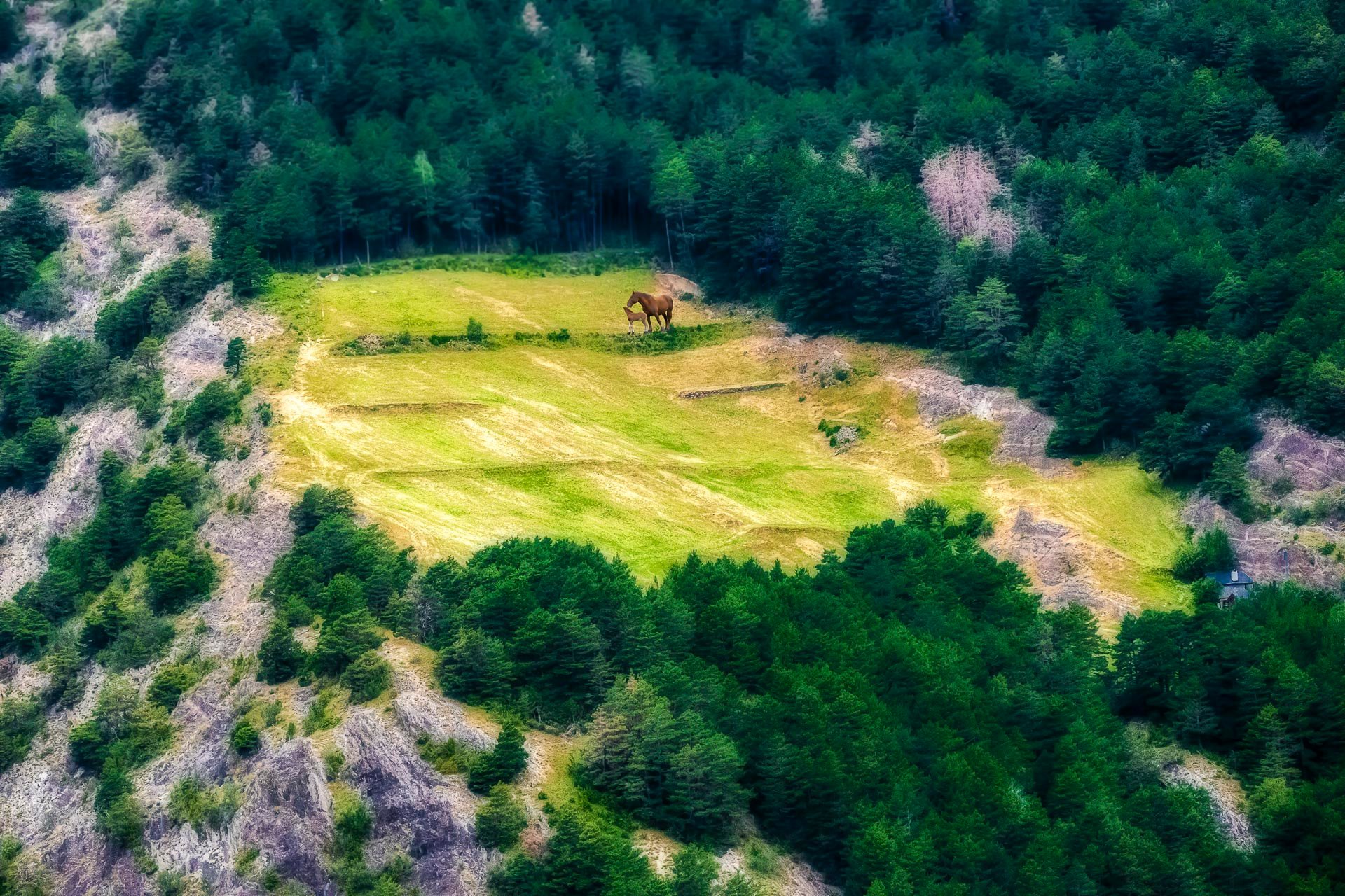 LANDSCAPE WITH HORSES 20240730201817RT1PUB - Payhip
