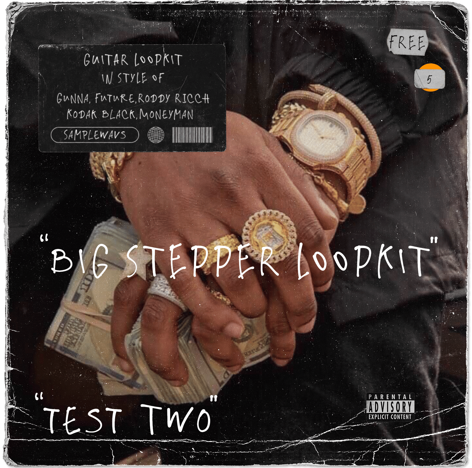Big Stepper Loop Kit Test Two - Payhip