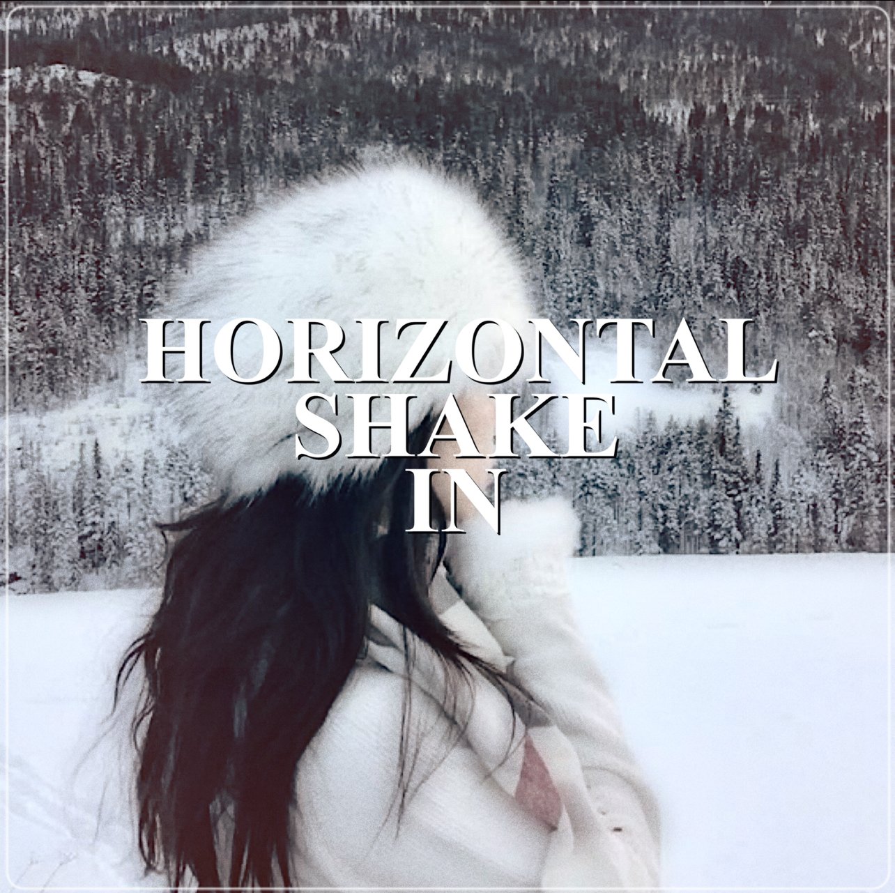 horizontal shake in transition - Payhip