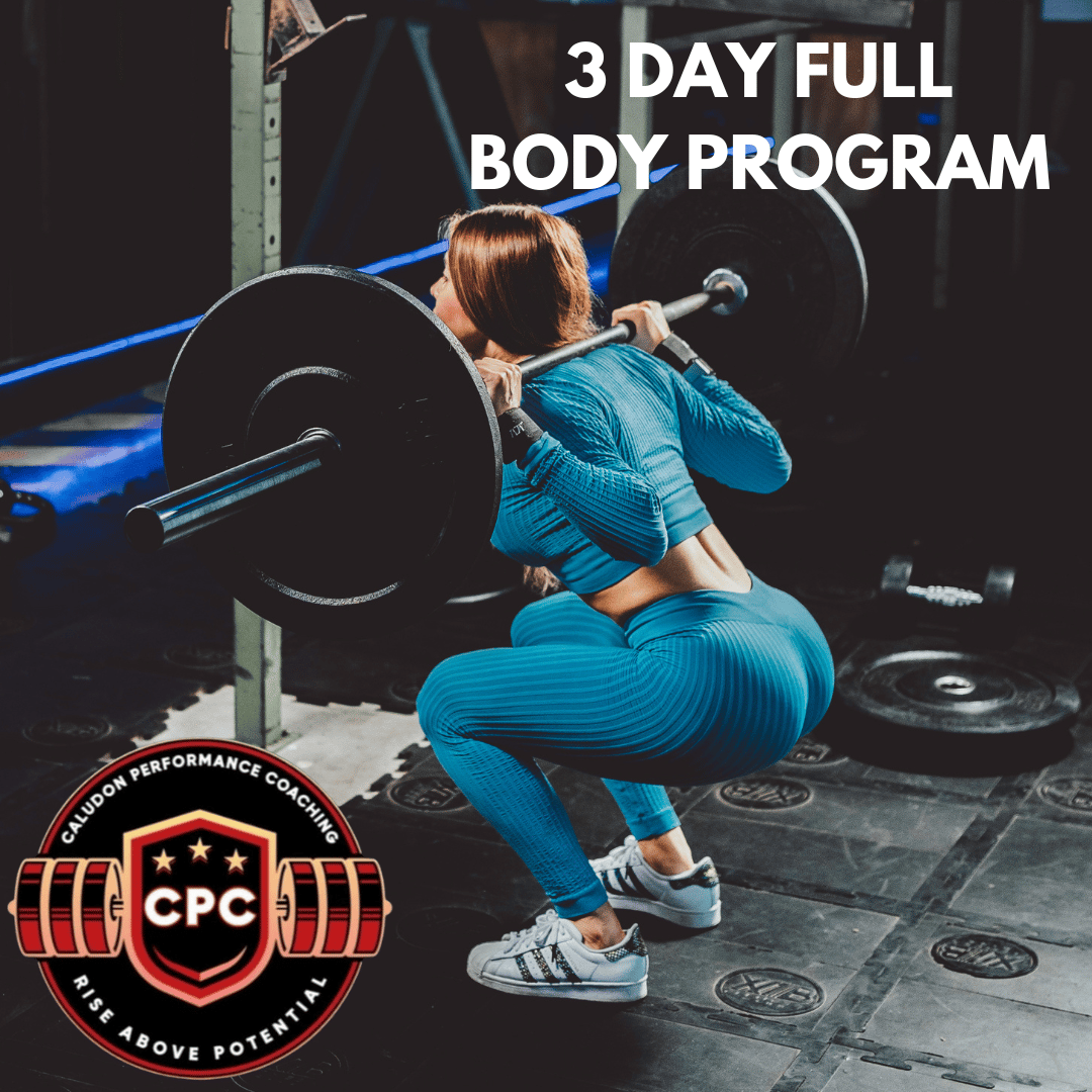 3 Day Full Body Program - Payhip