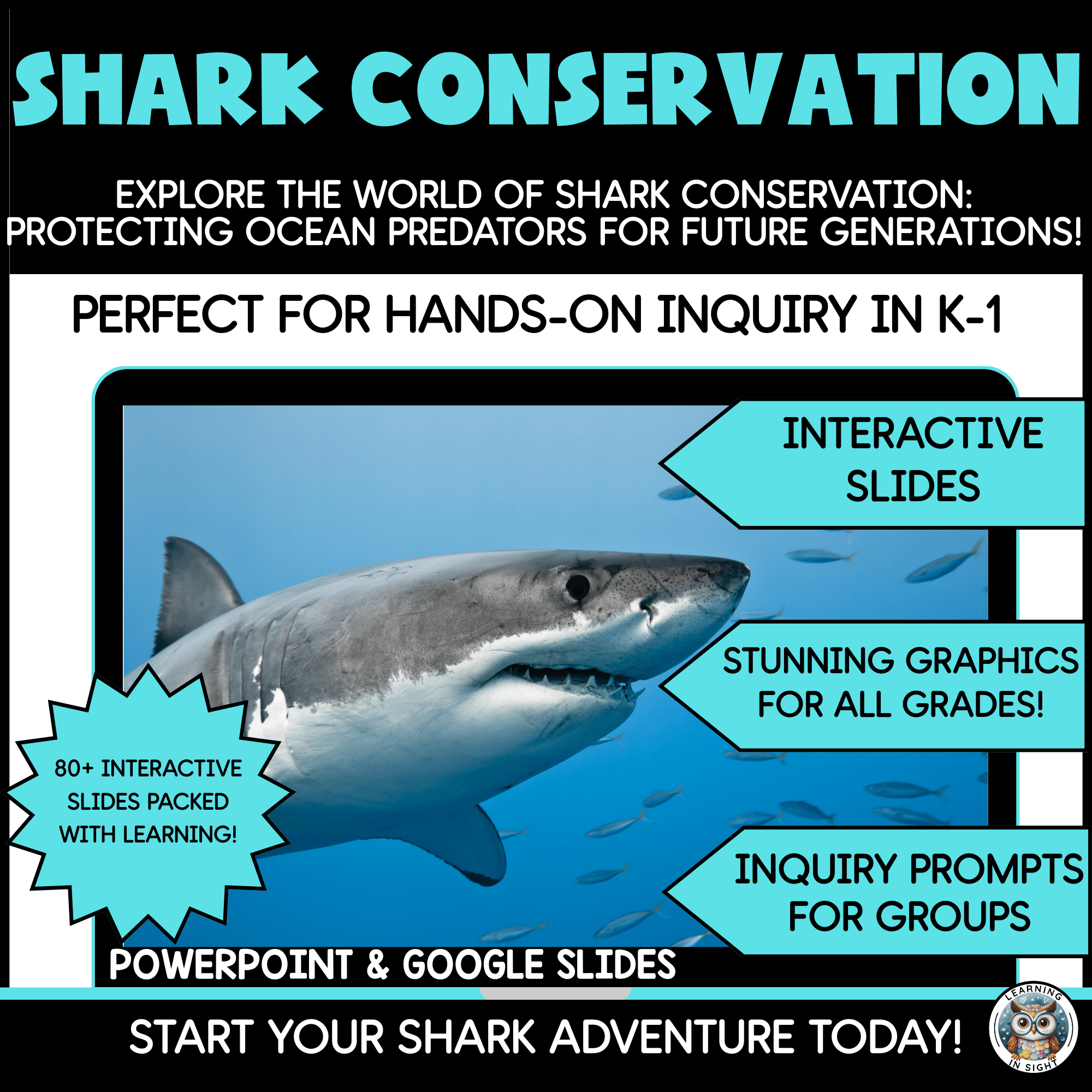 SHARK CONSERVATION BUNDLE – K-1 INTERACTIVE SLIDES - Payhip