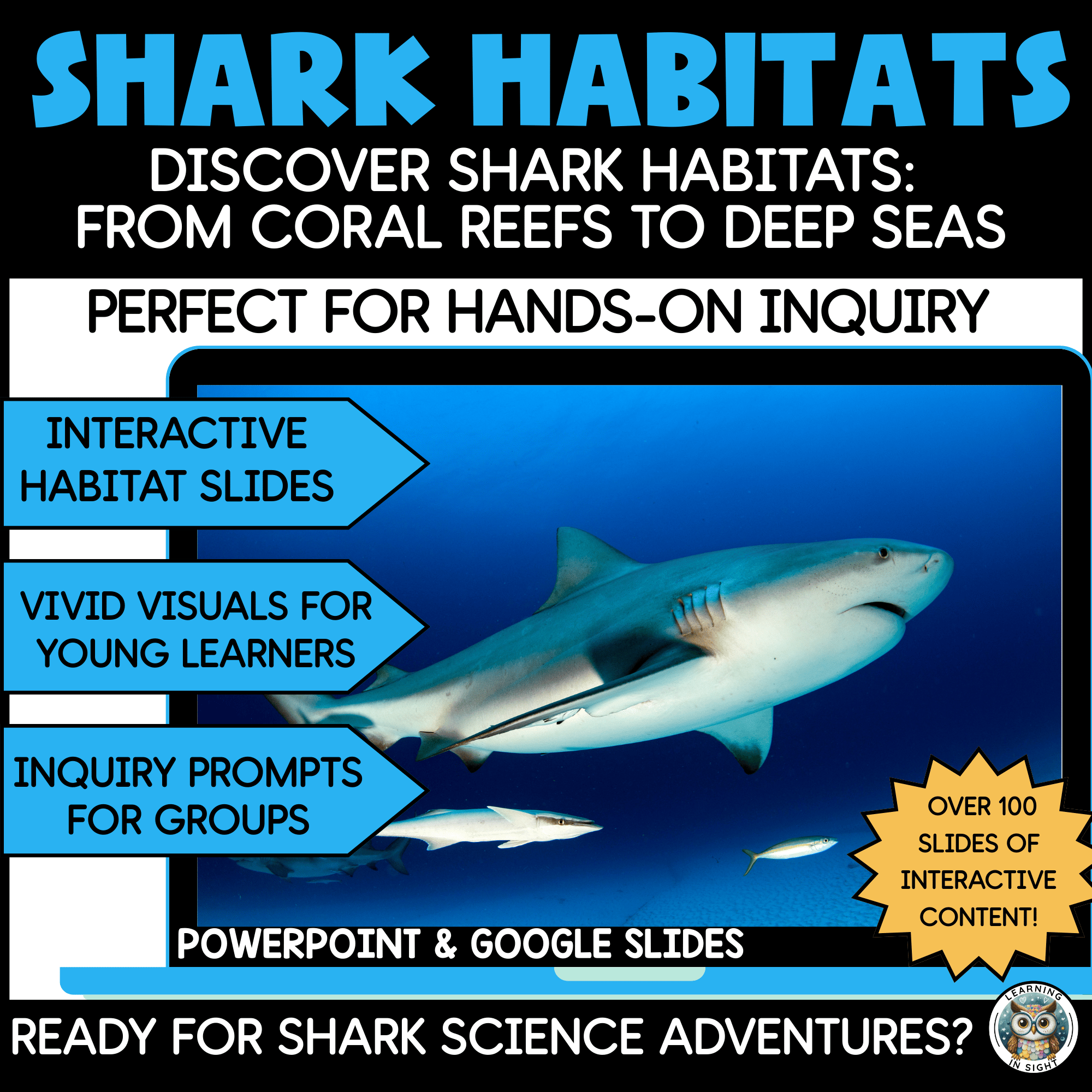 Discover Shark Habitats | Digital Science Resource for K-3 - Payhip