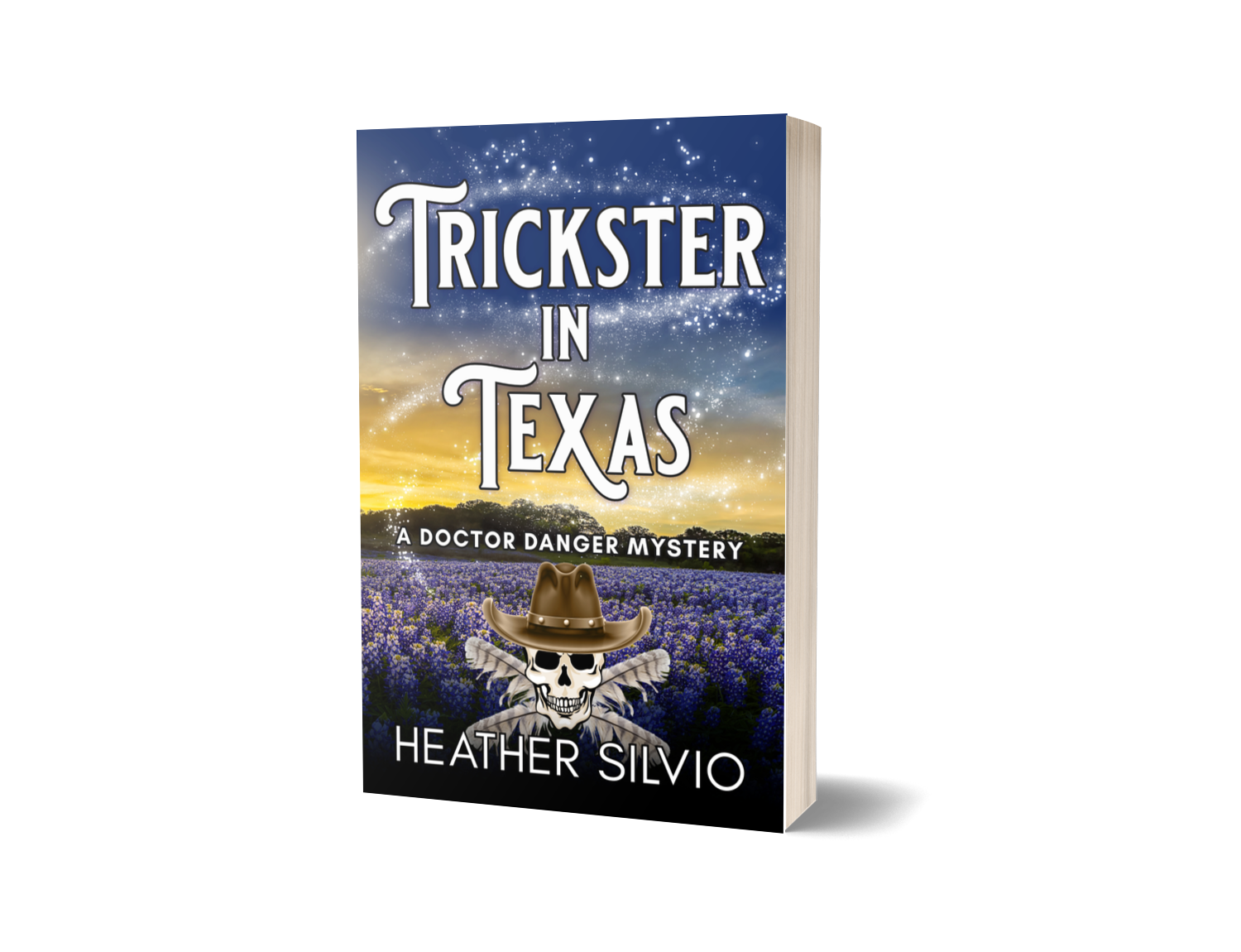 Trickster in Texas (A Doctor Danger Mystery, #3) Signed Paperback - Payhip