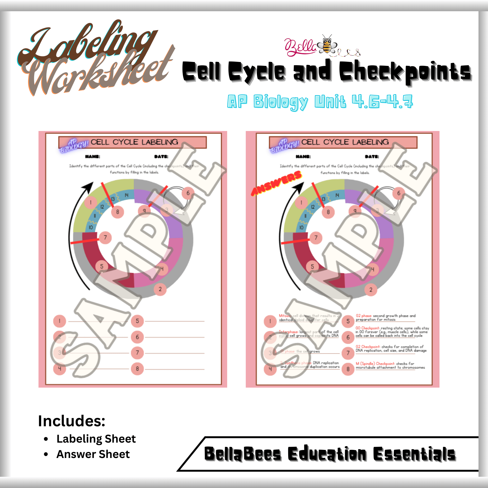AP Biology Unit 4.6-4.7 Cell Cycle Labeling: Cell Cycle and Checkpoints