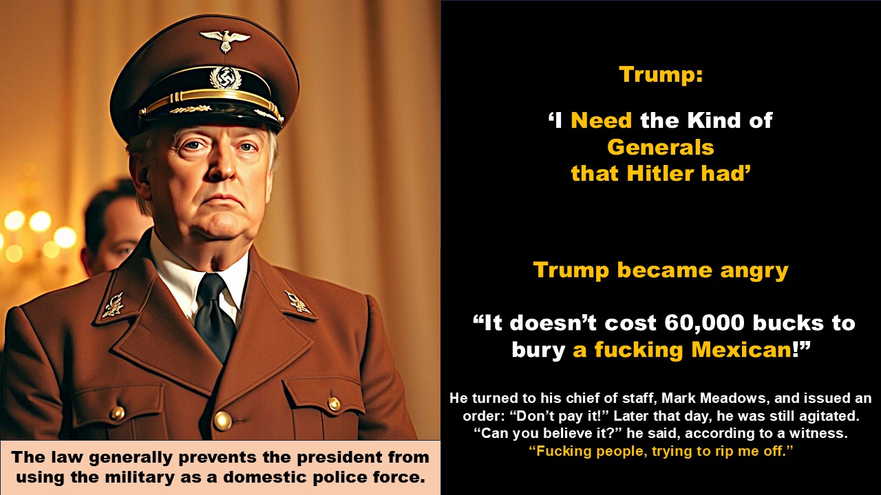 Trump like German Generals (English) - Payhip