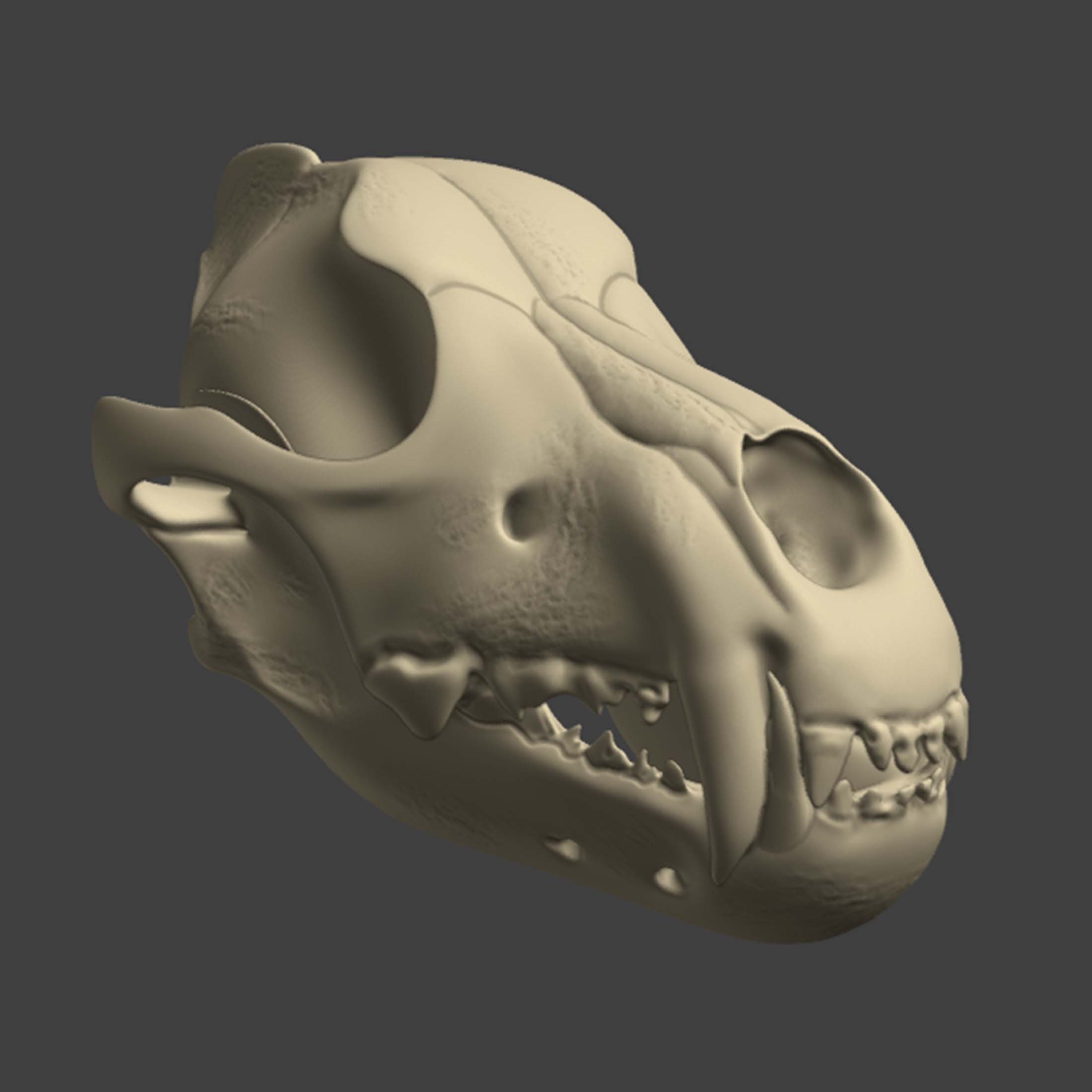 Dire Wolf Skull 3D Model - 1 STL File for 3D Printing | Digital Download - Payhip
