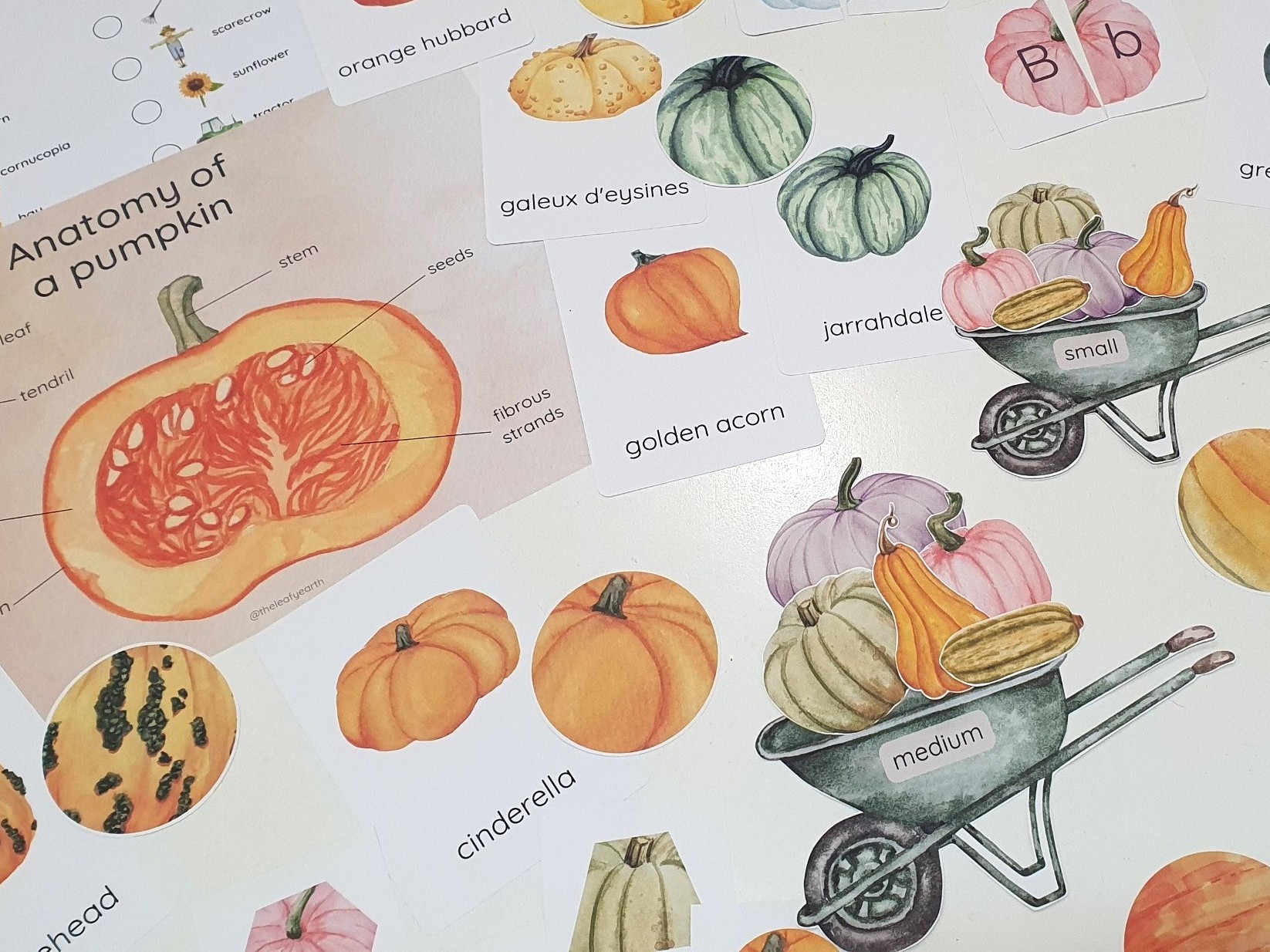 Pumpkin Activity Pack - Payhip
