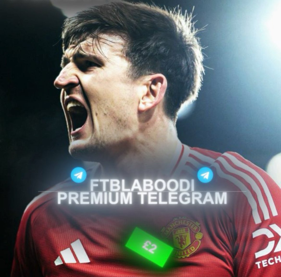Ftblaboodi Premium Telegram - Payhip