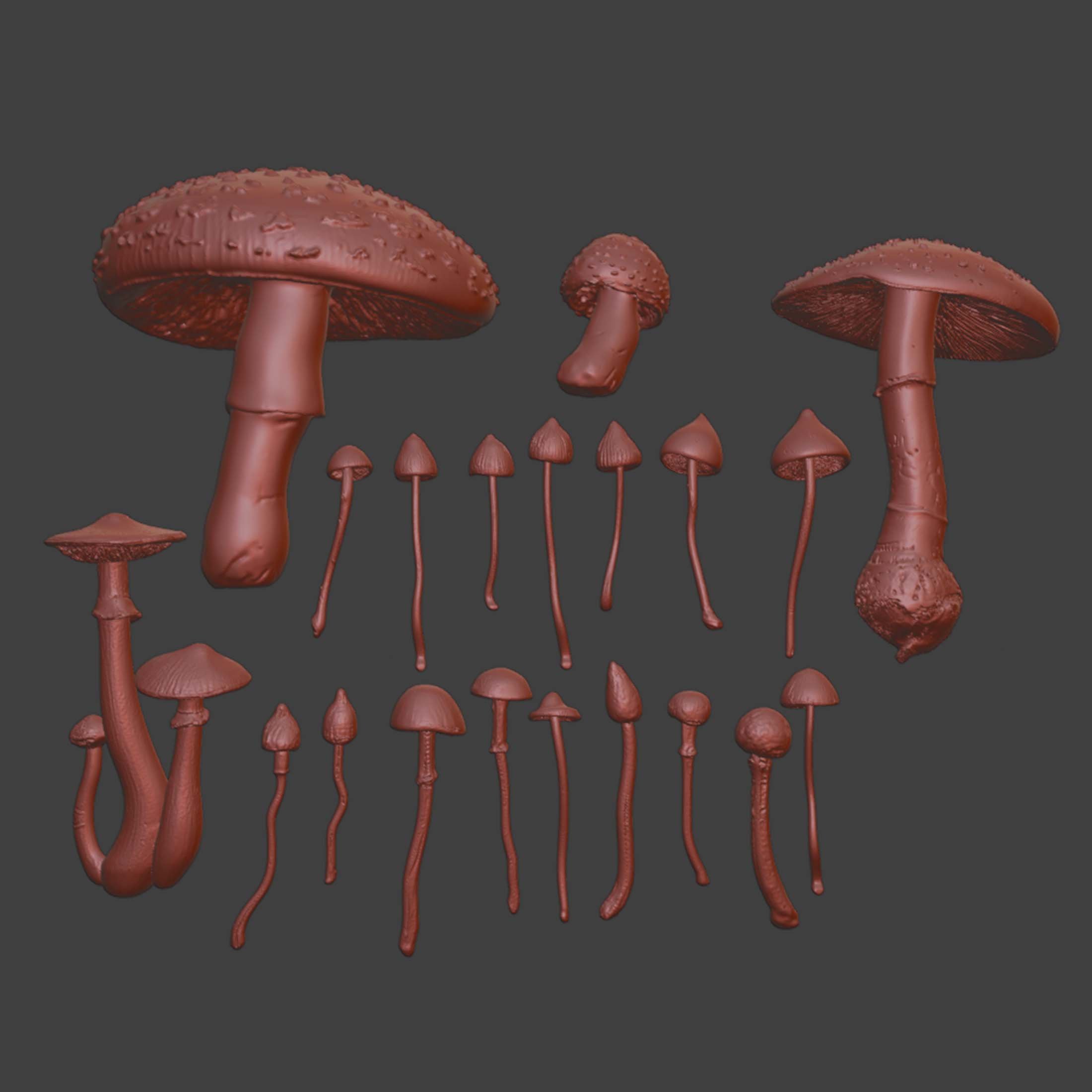Mushrooms Collection - 20 STL Files for 3D Printing | Digital Download ...