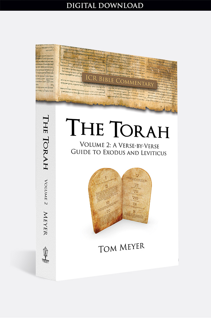The Torah, Volume 2: A Verse-by-Verse Guide to Exodus and Leviticus - eBook