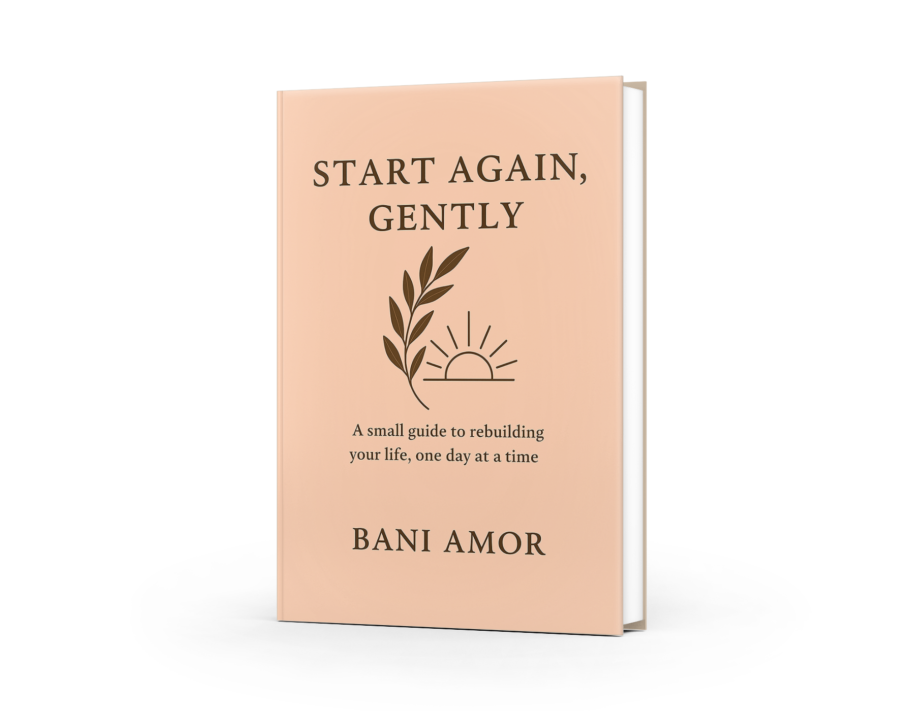 Start Again Gently Payhip