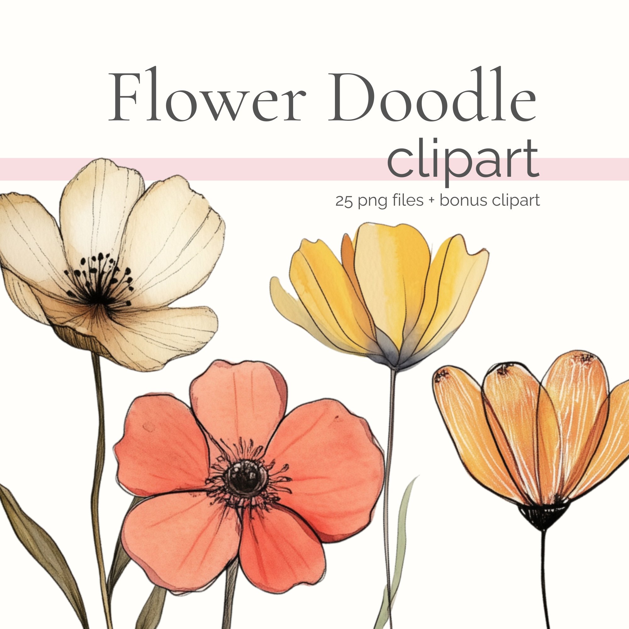 Watercolor Fall Wildflower Clipart, Doodle Autumn Flower Illustration, Floral PNG - Payhip