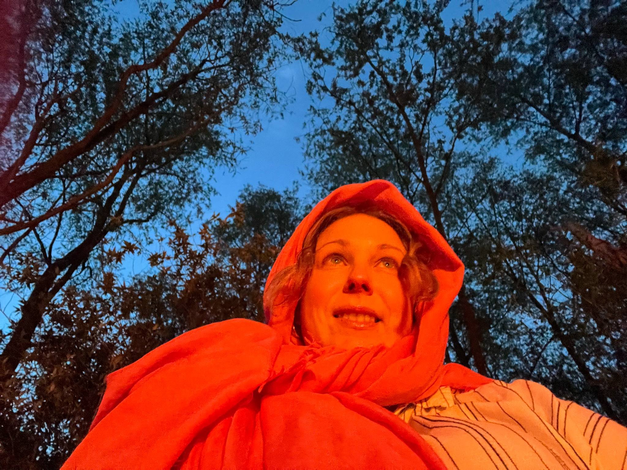 Lady Carly Jan - Payhip