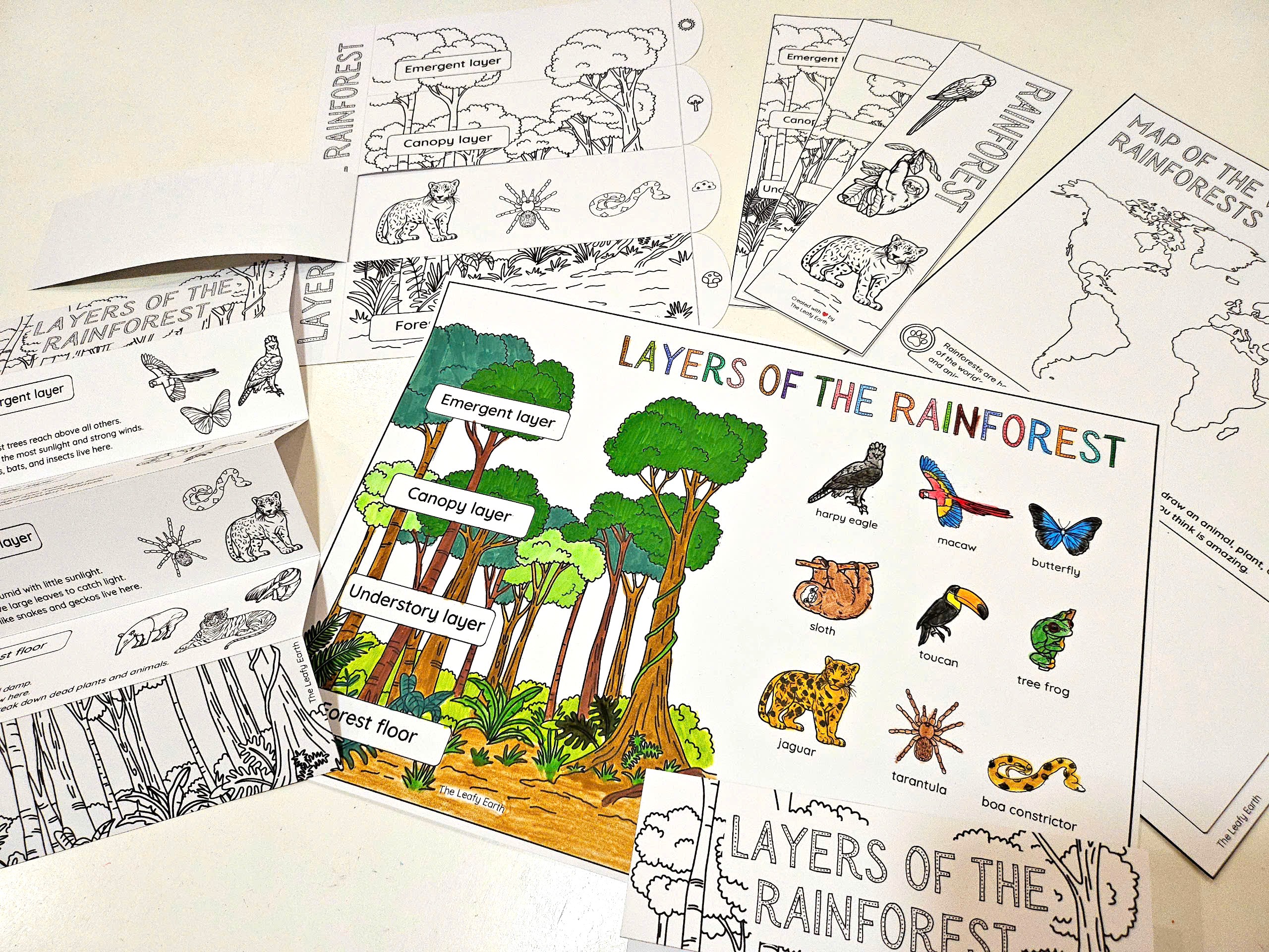 Layers of the Rainforest Poster, Flipbook, Foldable, Forest Map ...