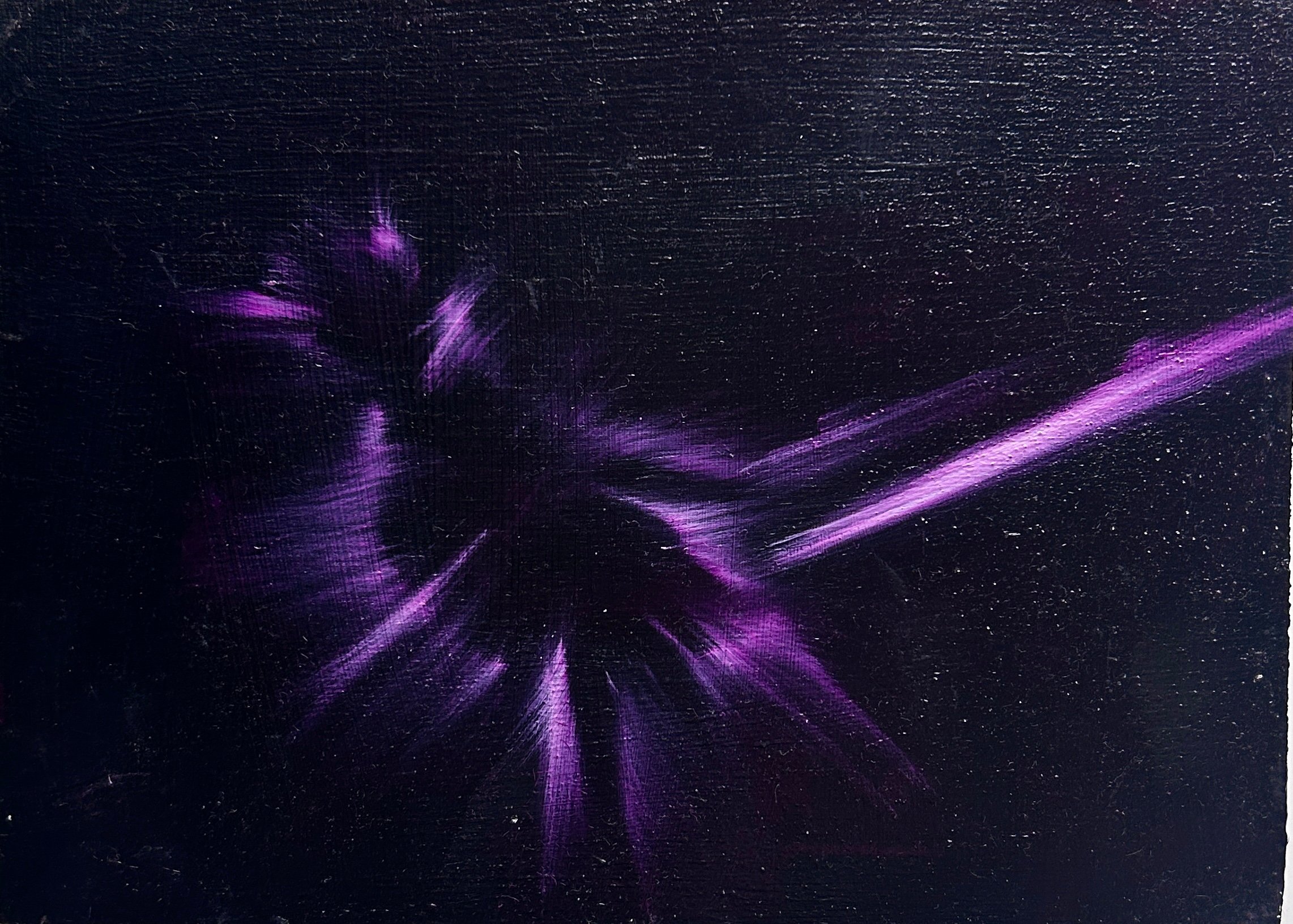 Pheasant Aurora Corona Oil Painting - Payhip