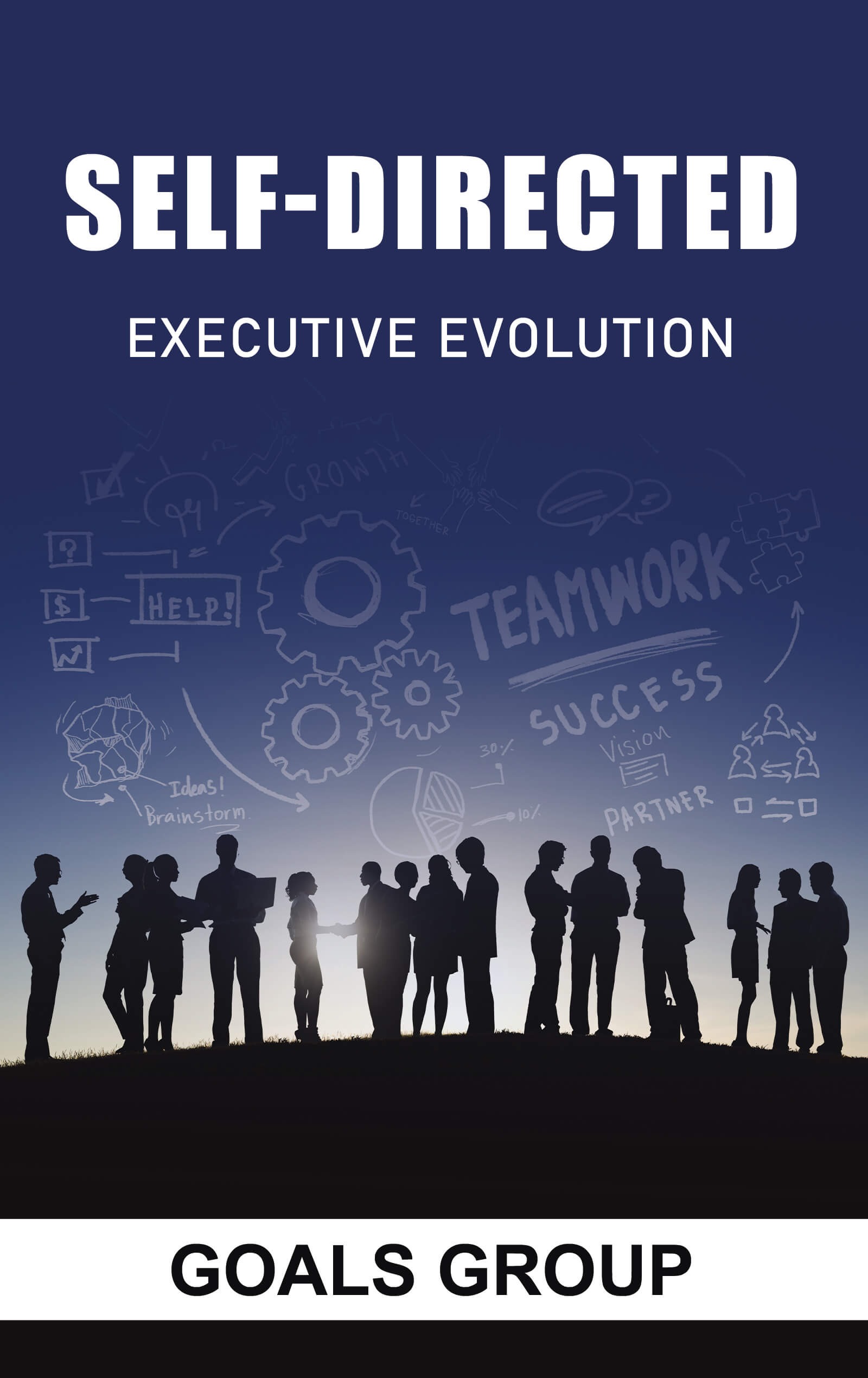 Self-Directed Executive Evolution Goals Group