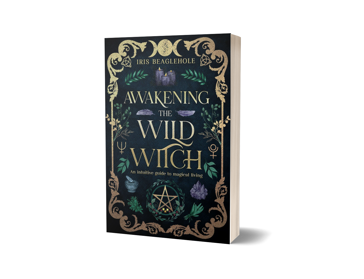 Awakening the Wild Witch (Paperback)