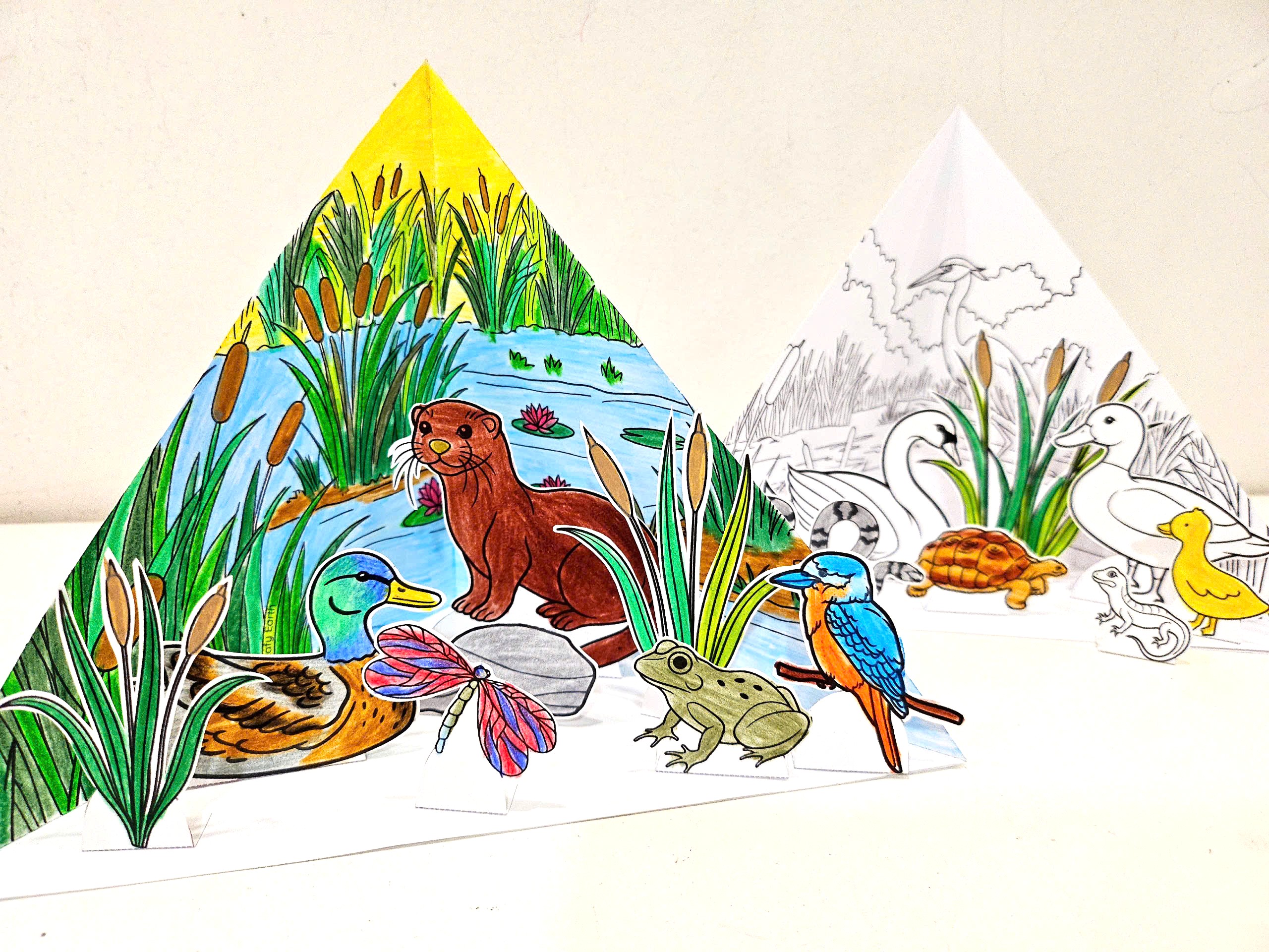 Pond Habitat Coloring Triorama - Payhip