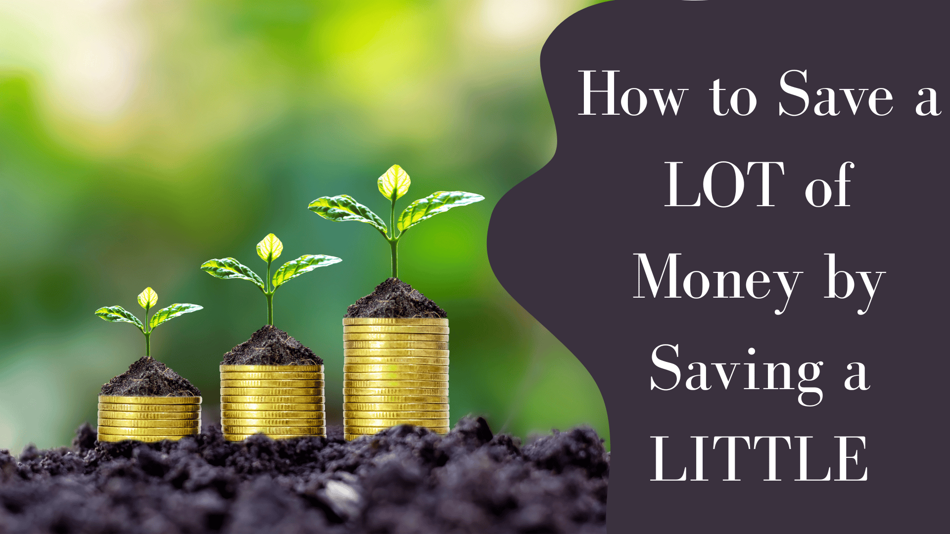 How to Save a LOT of Money by Saving a LITTLE: The Power of Small ...