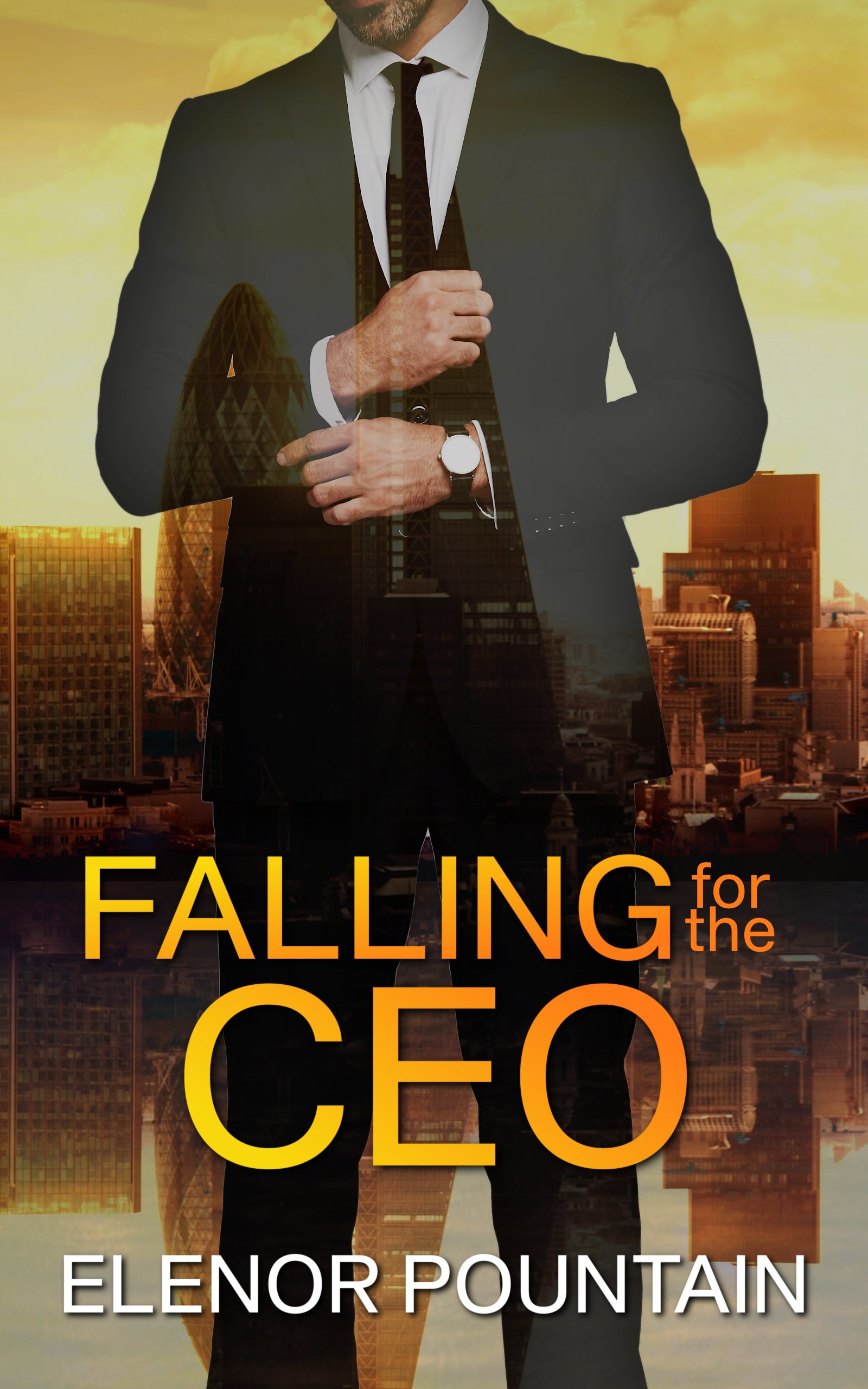 Falling for the CEO - Payhip