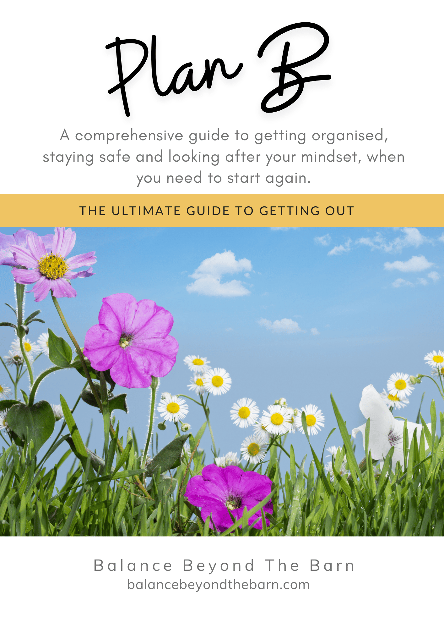 Plan B The Ultimate Guide To Getting Out And Starting Again Payhip