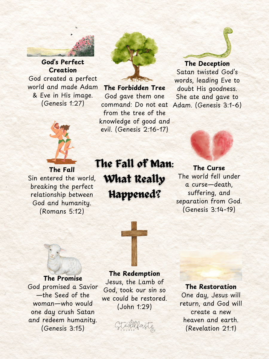The Fall of Man: What Really Happened? – Printable Bible Card - Payhip