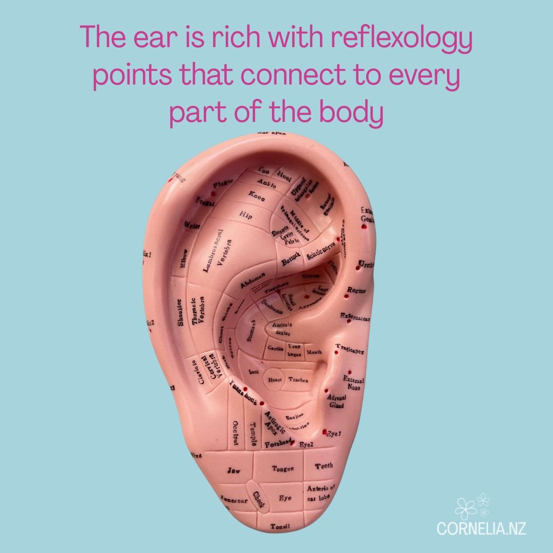 Ear Reflexology Benefits