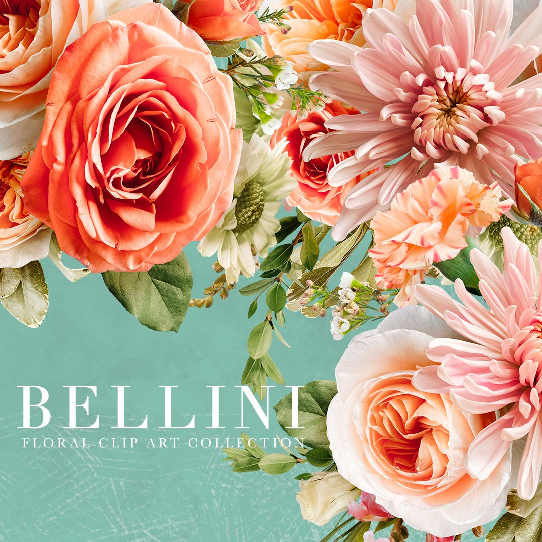 Avalon Rose Design