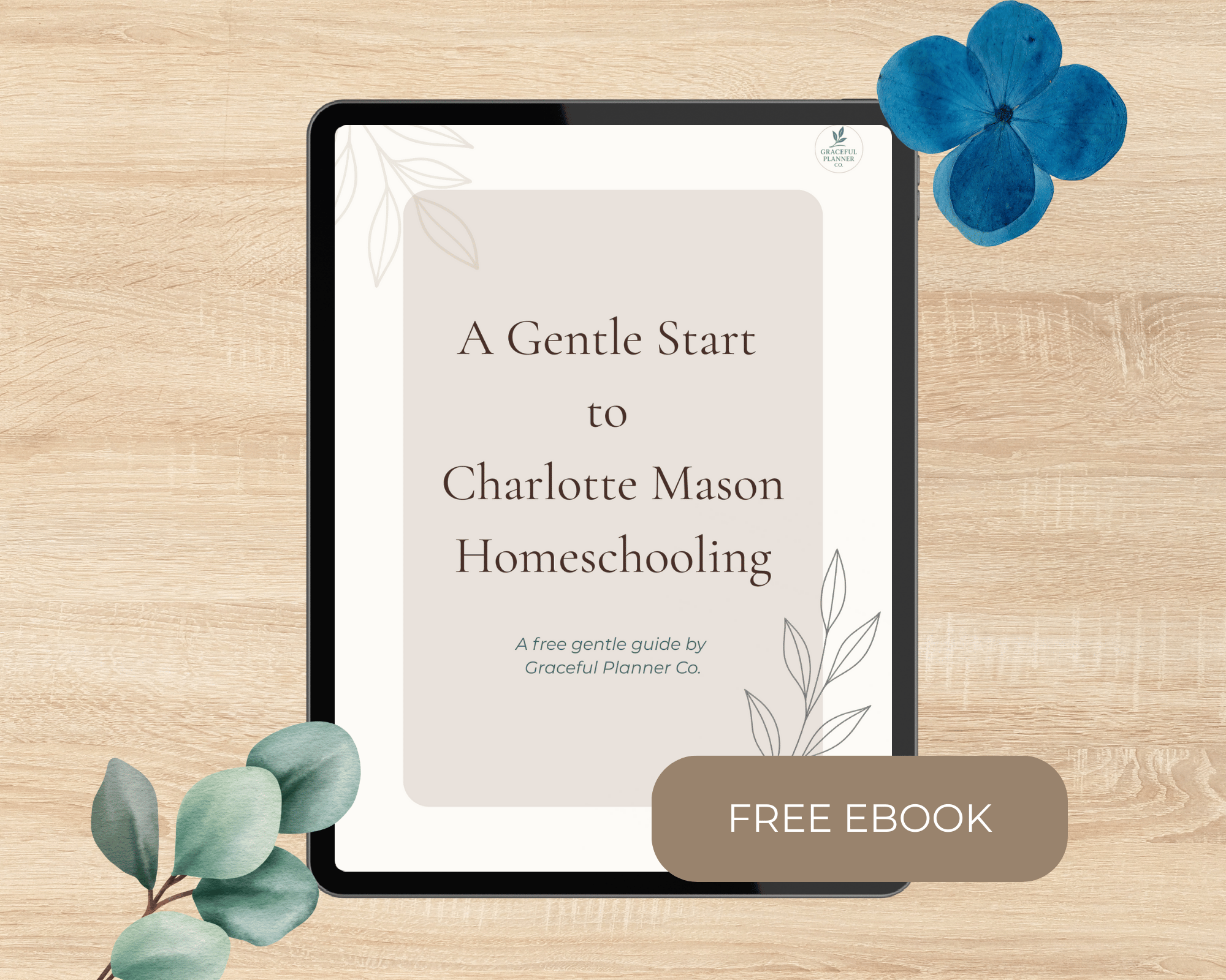 A Gentle Start to Charlotte Mason Homeschooling (Free eBook) - Payhip