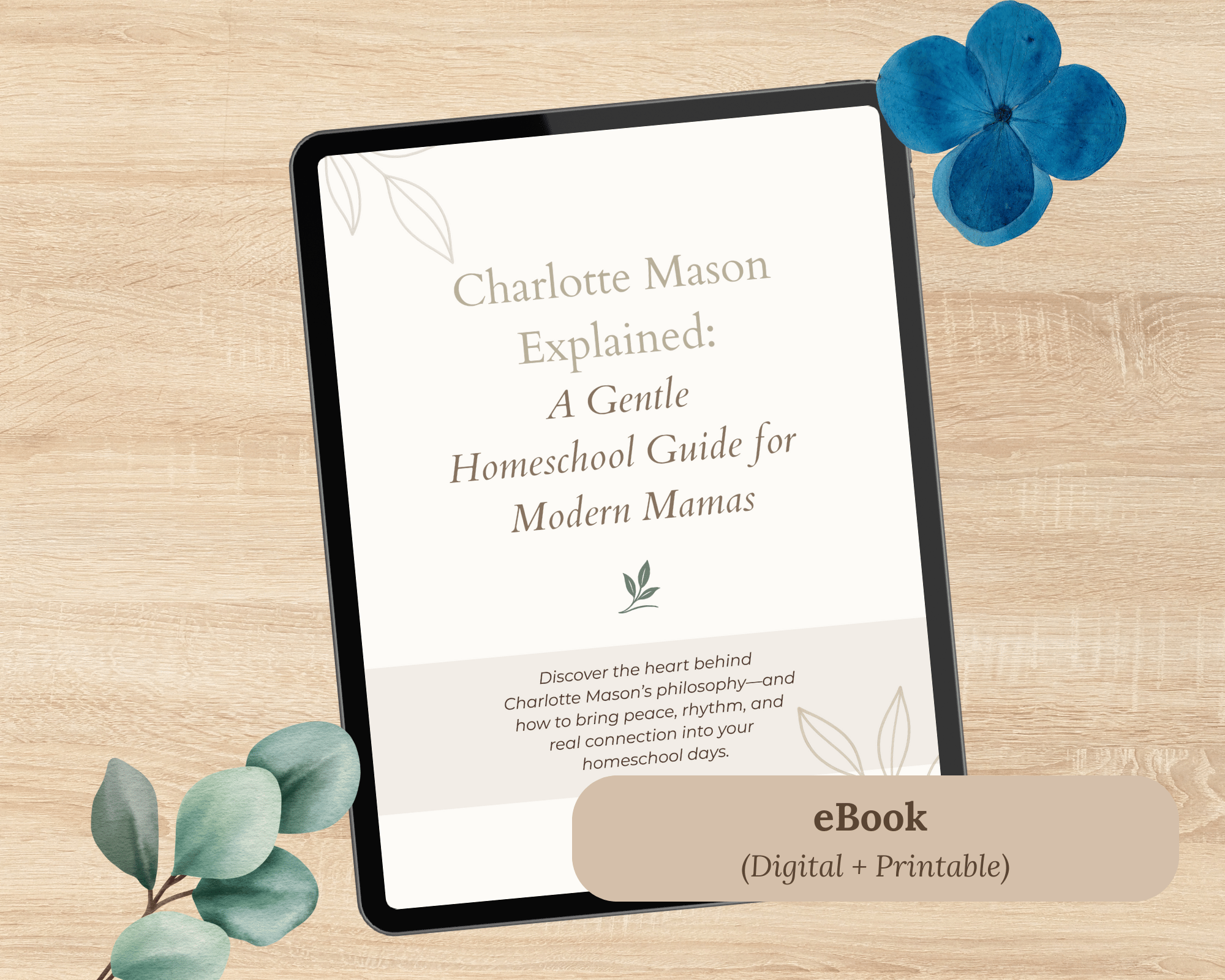 The Gentle Guide to Charlotte Mason Homeschooling - Payhip