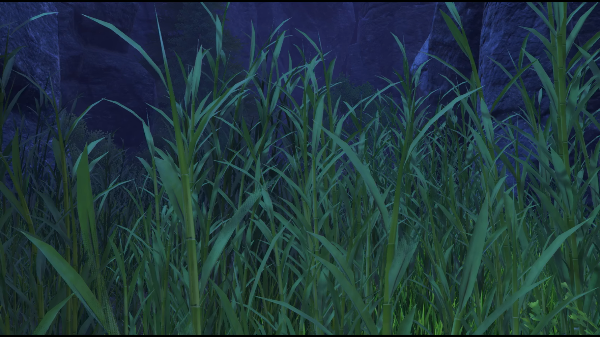 Tall Wild Grass Screensaver - Dragon Quest XI - Payhip