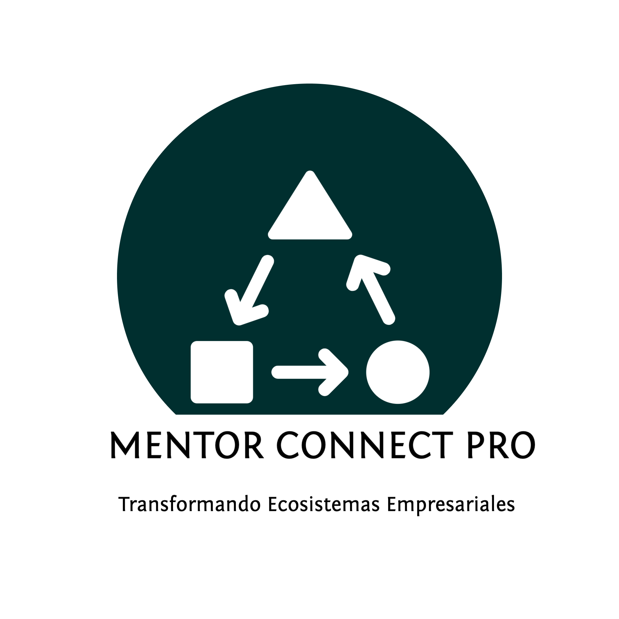 Luis Lesizza - Mentor Connect Pro - Payhip