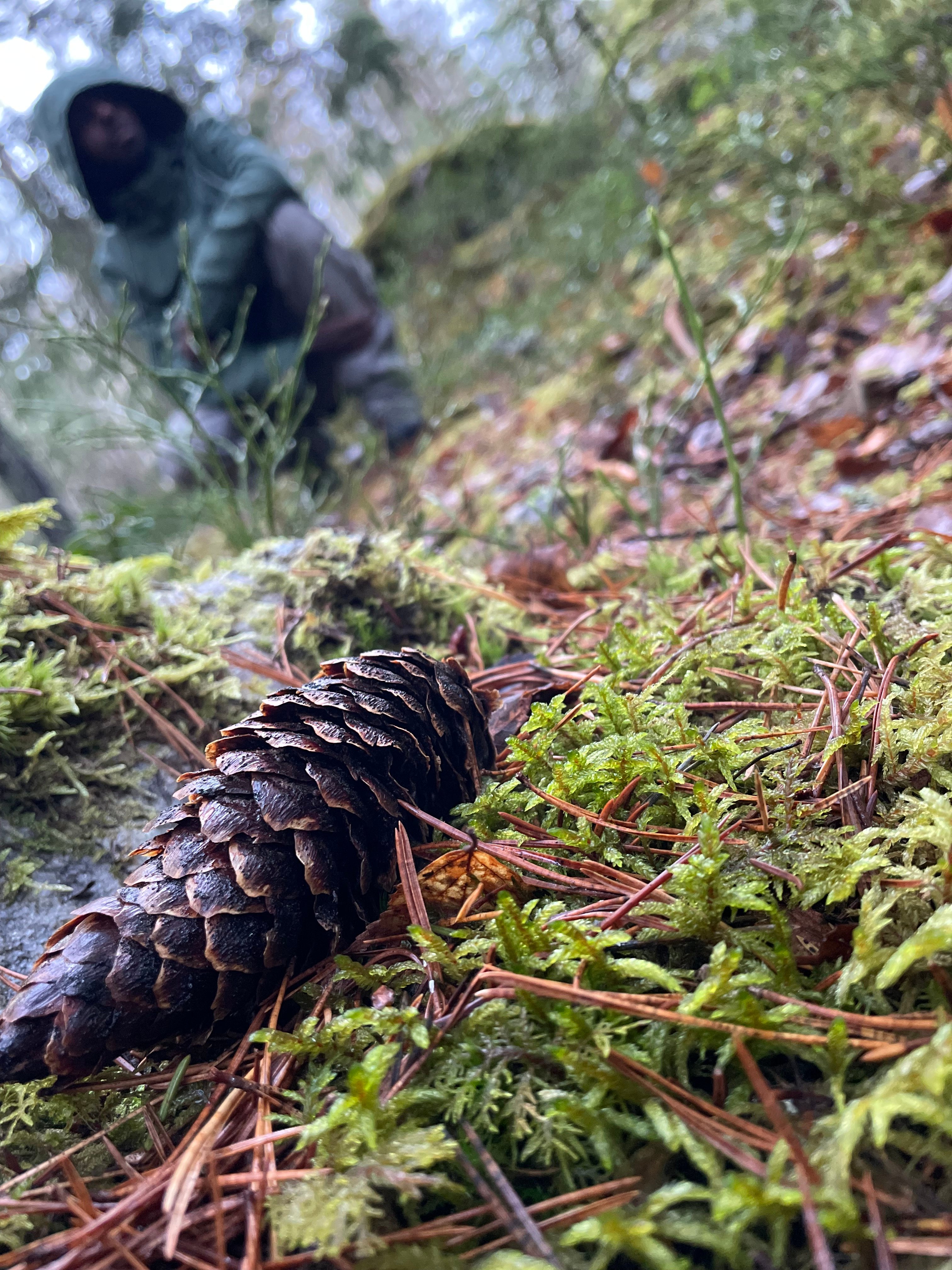 REXYXOX - BOOKS - Payhip