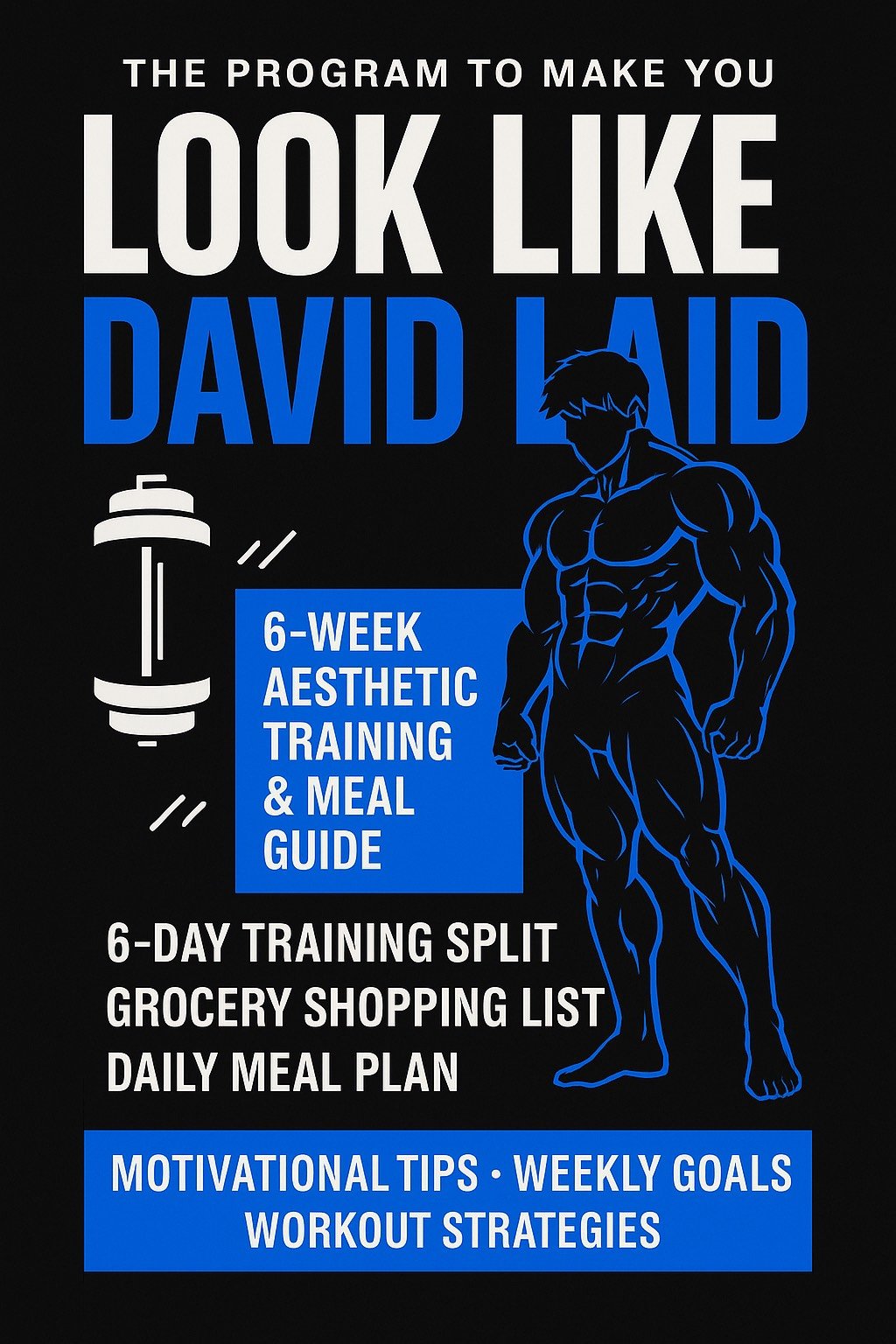 David Laid 6-Week Program - Payhip