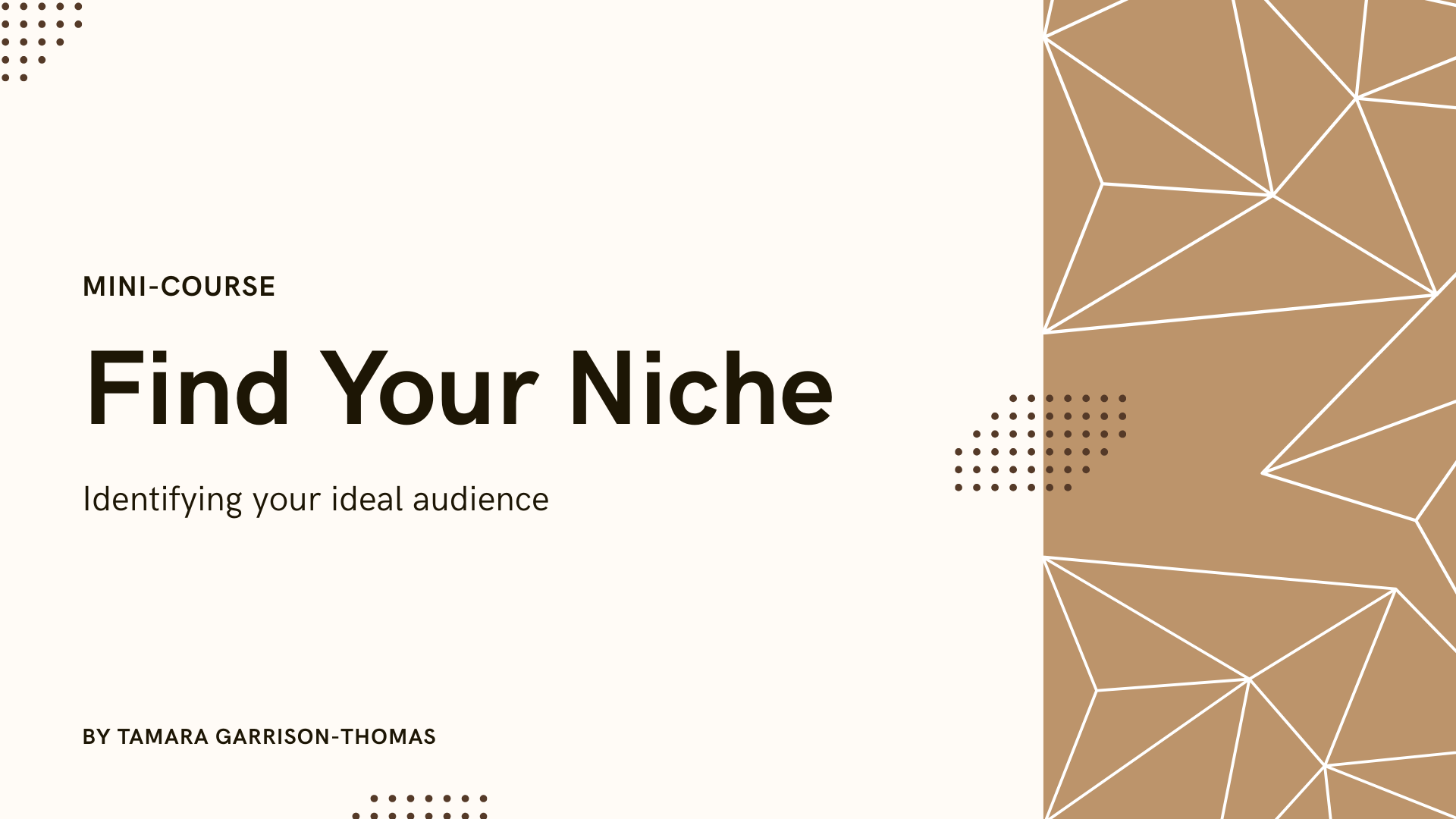 Find Your Niche Mini-Course - Payhip