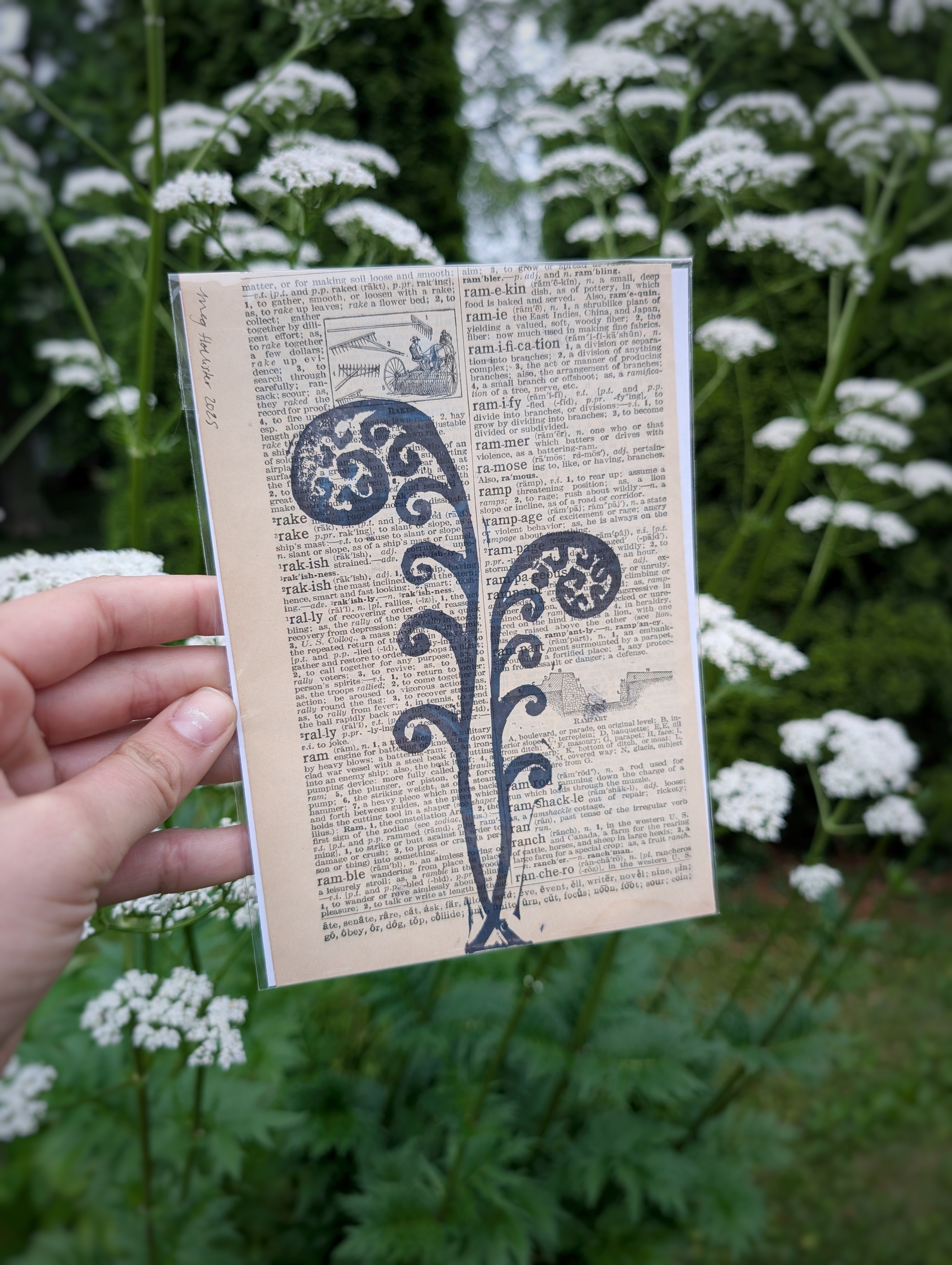 Fiddlehead Fern Linocut 5x7 Print - Payhip