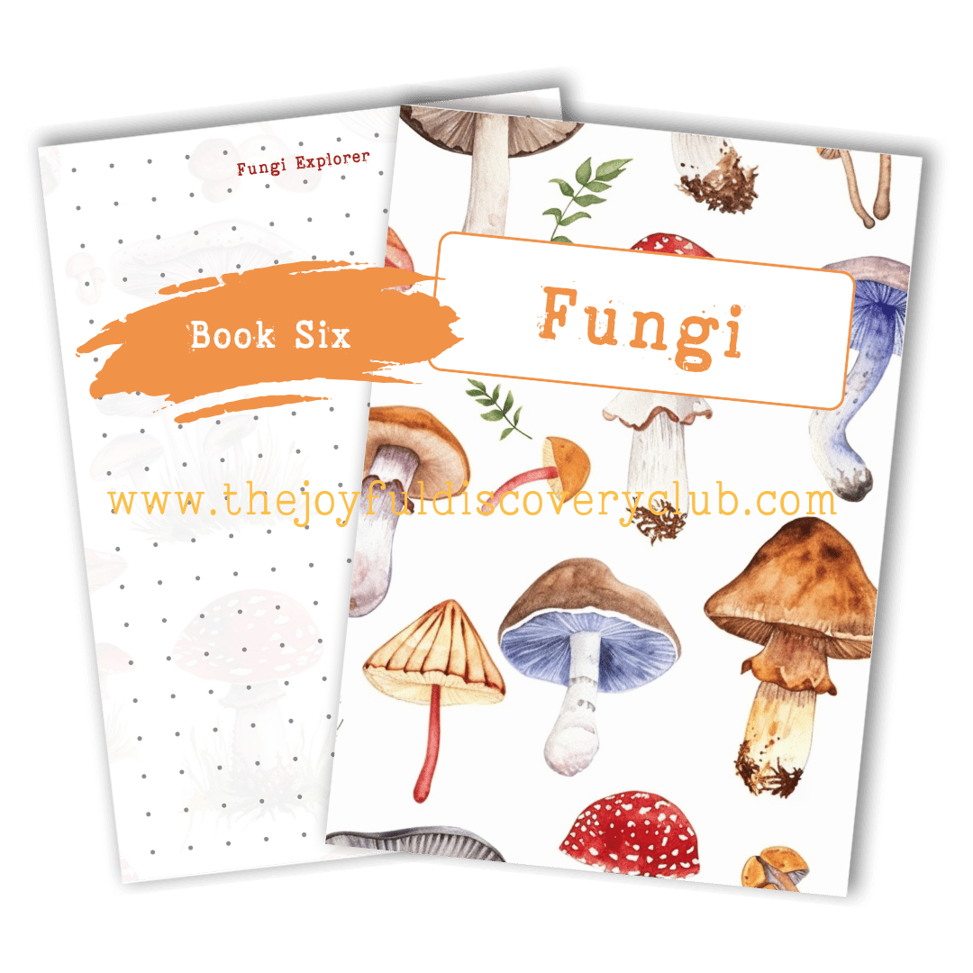 Fungi Explorer - Journal Book 6 - Payhip