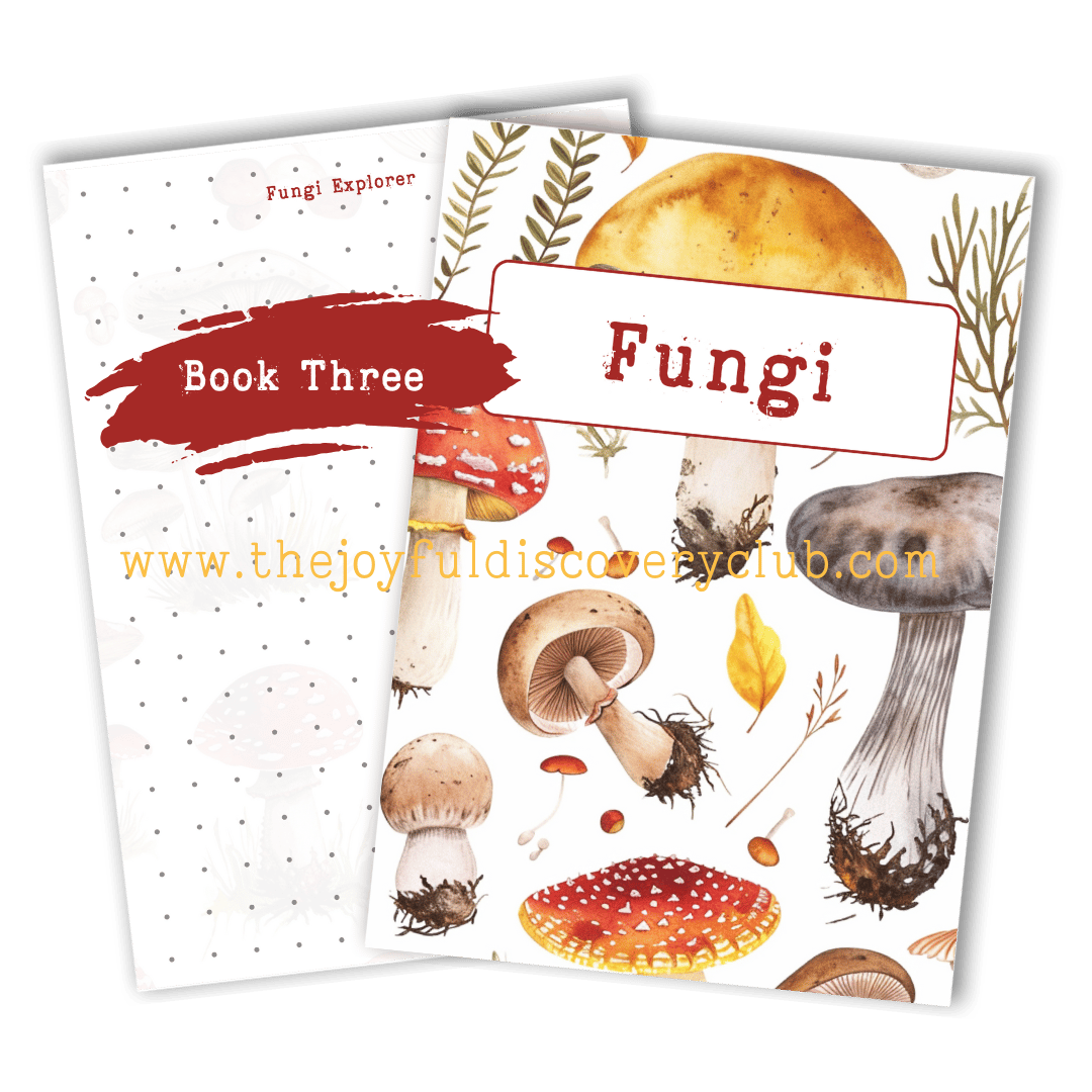 Fungi Explorer - Journal Book 3 - Payhip