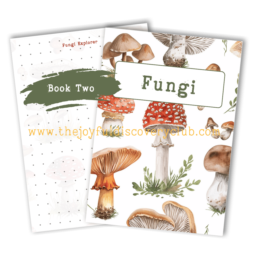 Fungi Explorer - Journal Book 2 - Payhip