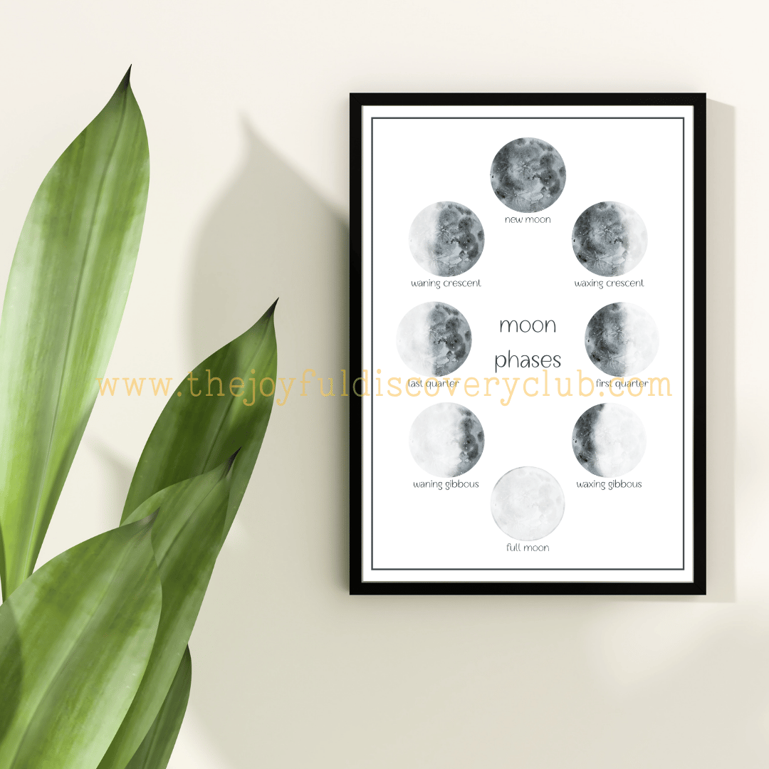 Moon Phases - Payhip