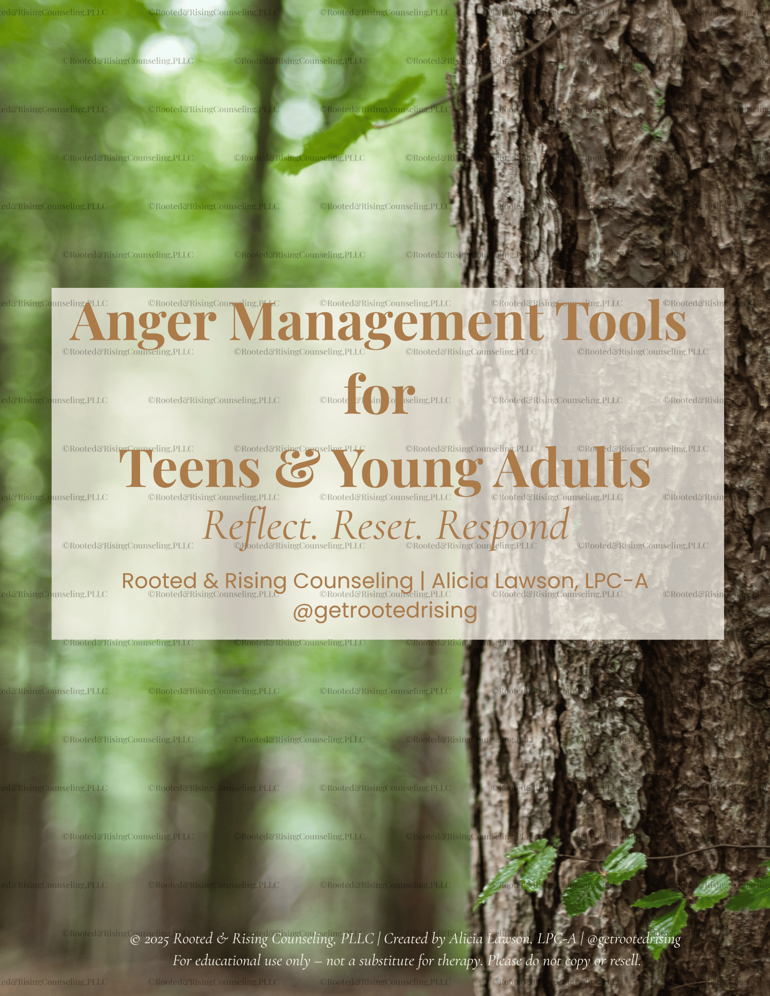 Anger Management Tools- Full Bundle - Payhip