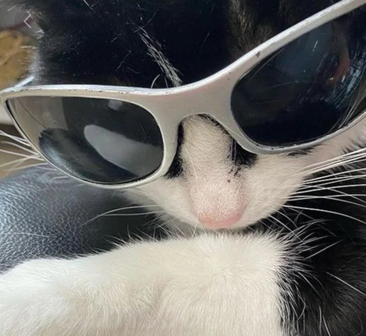 david ident - Payhip